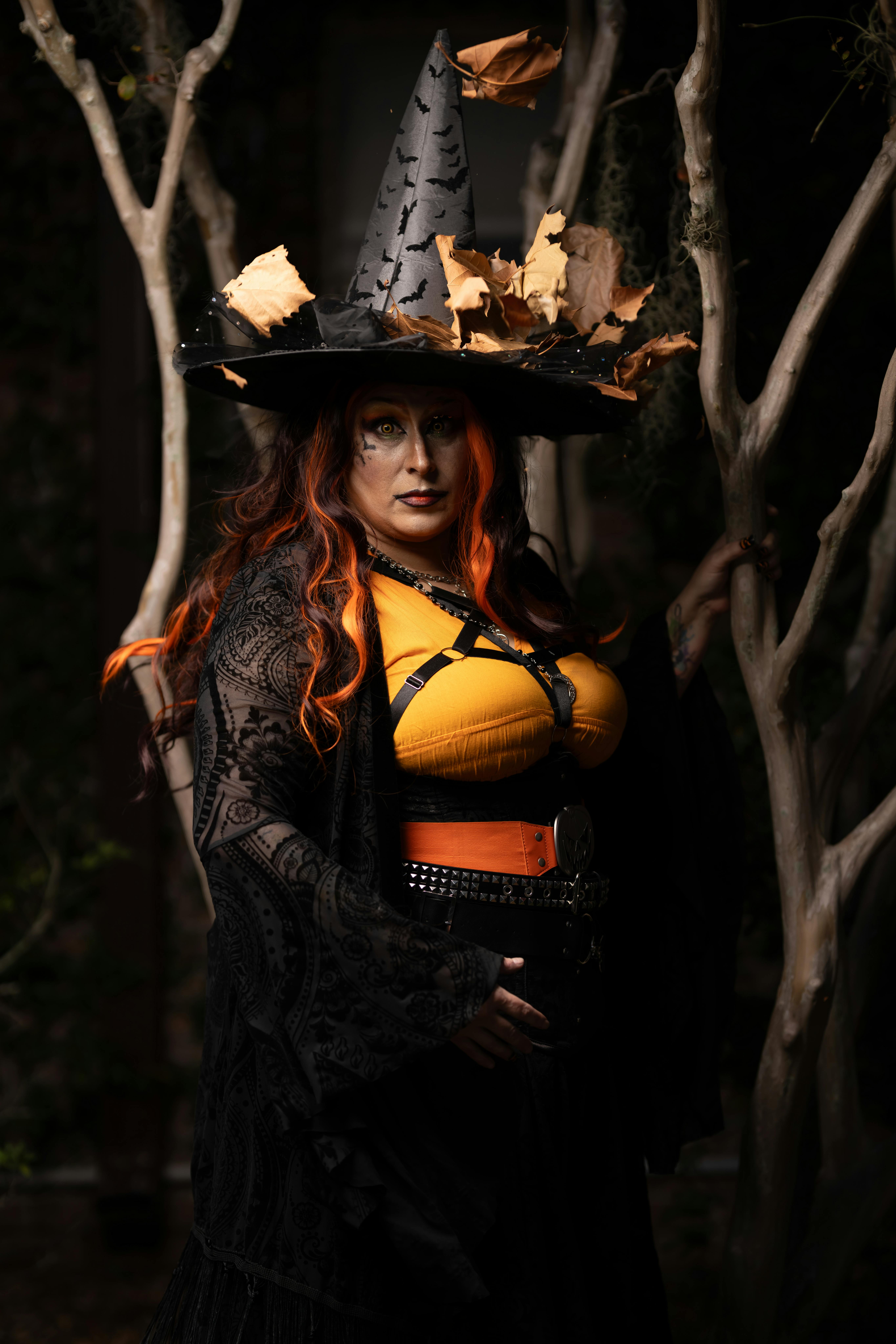 Mystical Witch in Forest at Twilight · Free Stock Photo