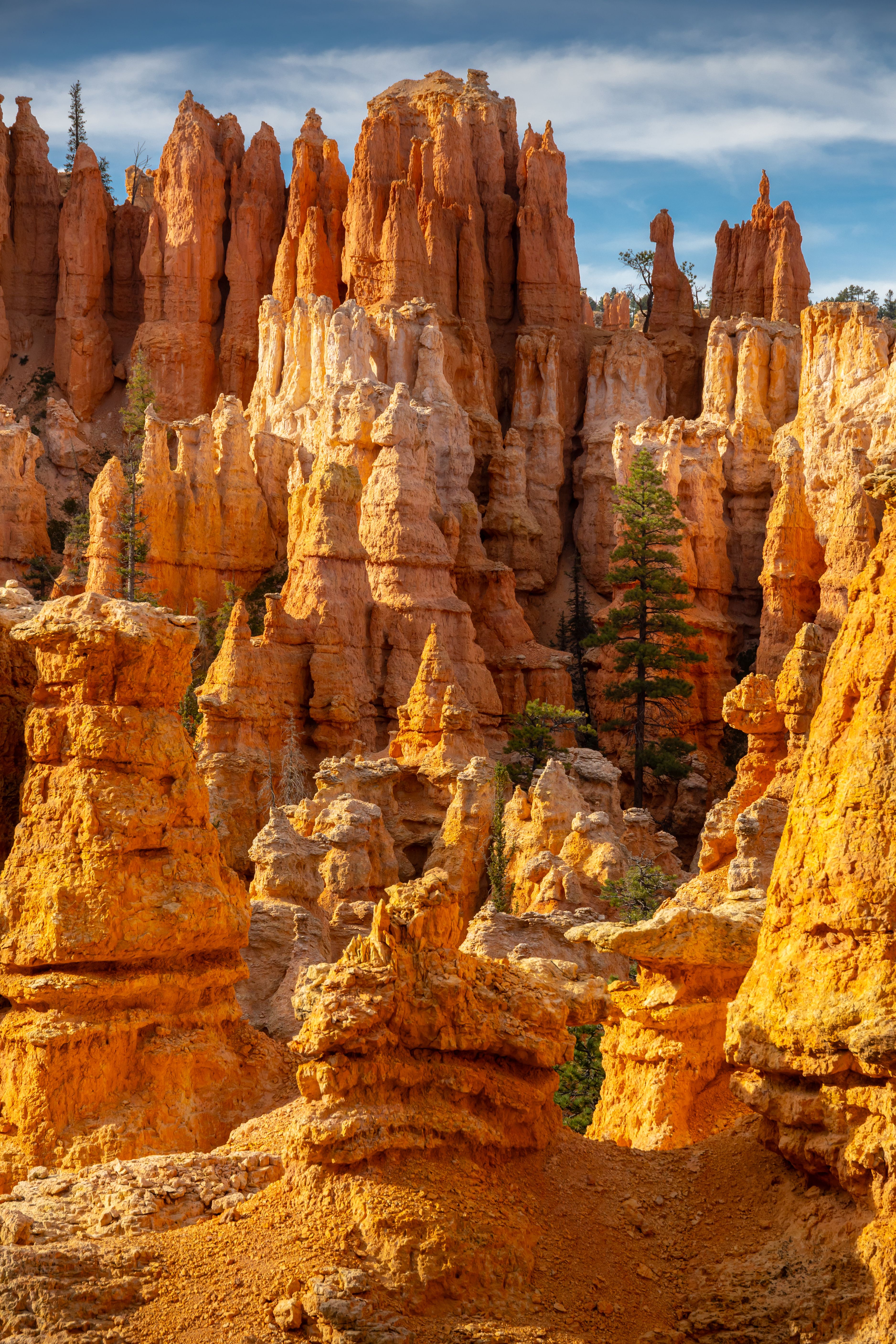 Stunning Hoodoos in Bryce Canyon National Park · Free Stock Photo