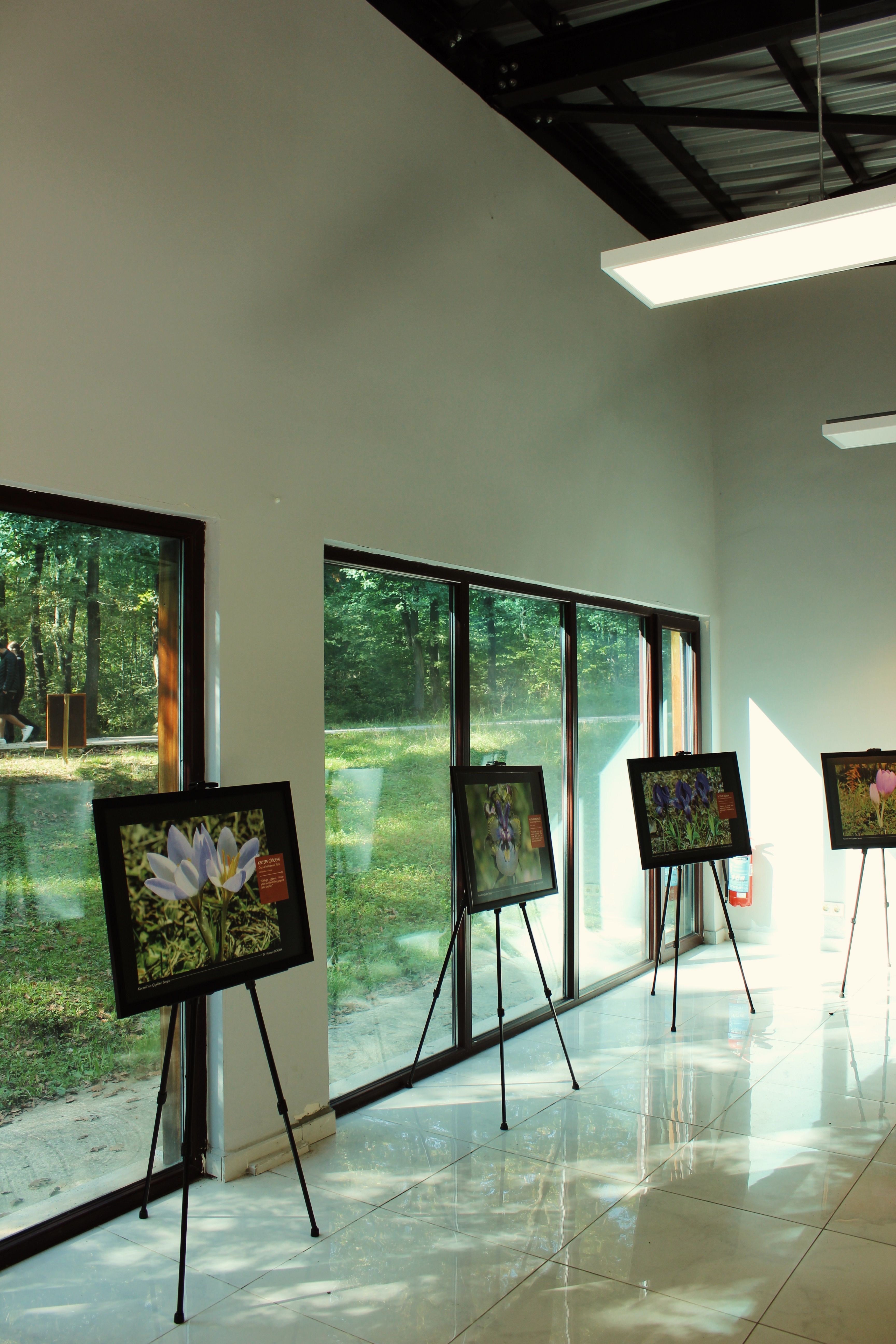 Modern Art Gallery with Nature Paintings Displayed · Free Stock Photo