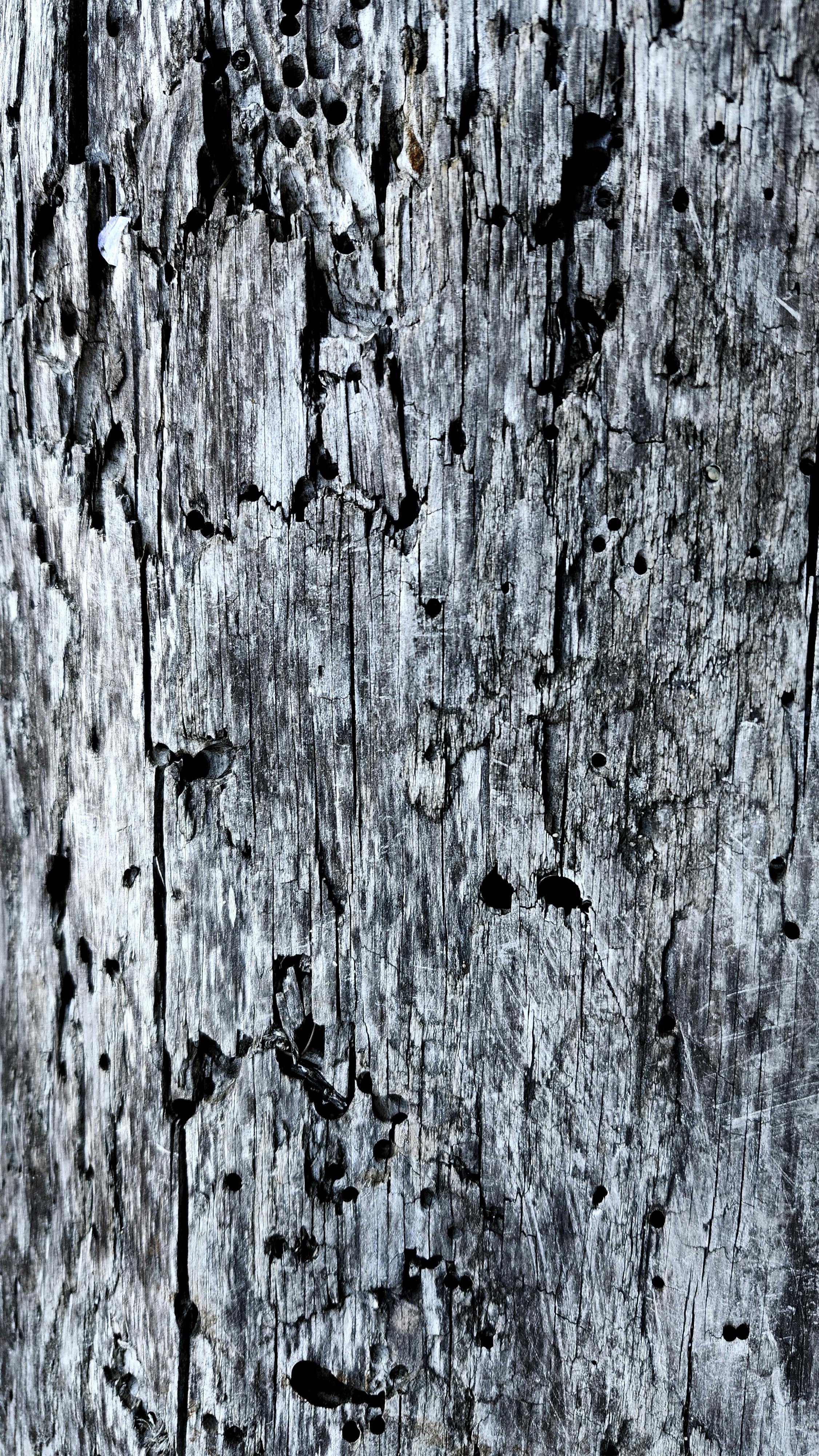 Foto de stock gratuita sobre @al aire libre, arquitectura costera ...