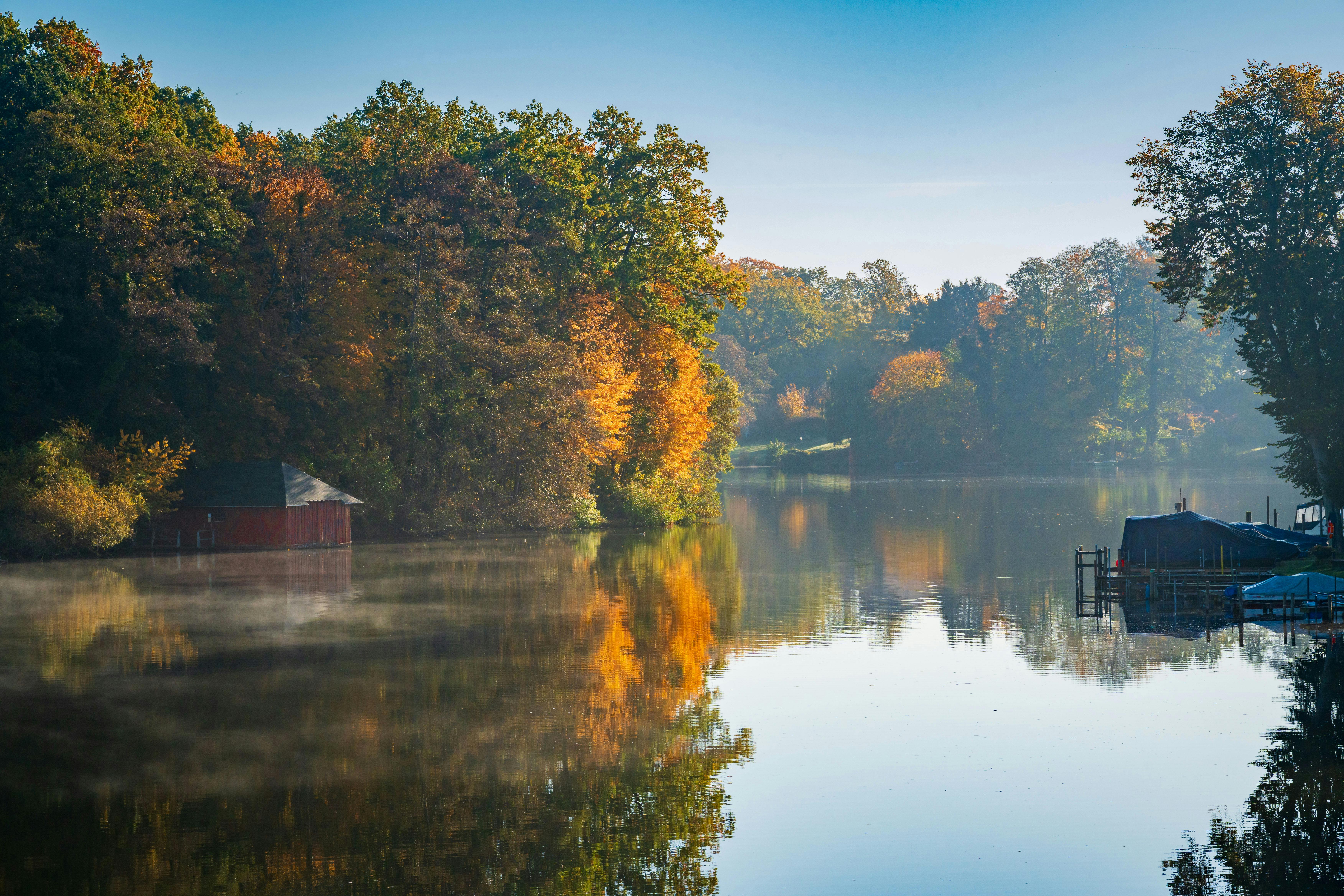 Serene Autumn Morning on a Misty Lake · Free Stock Photo