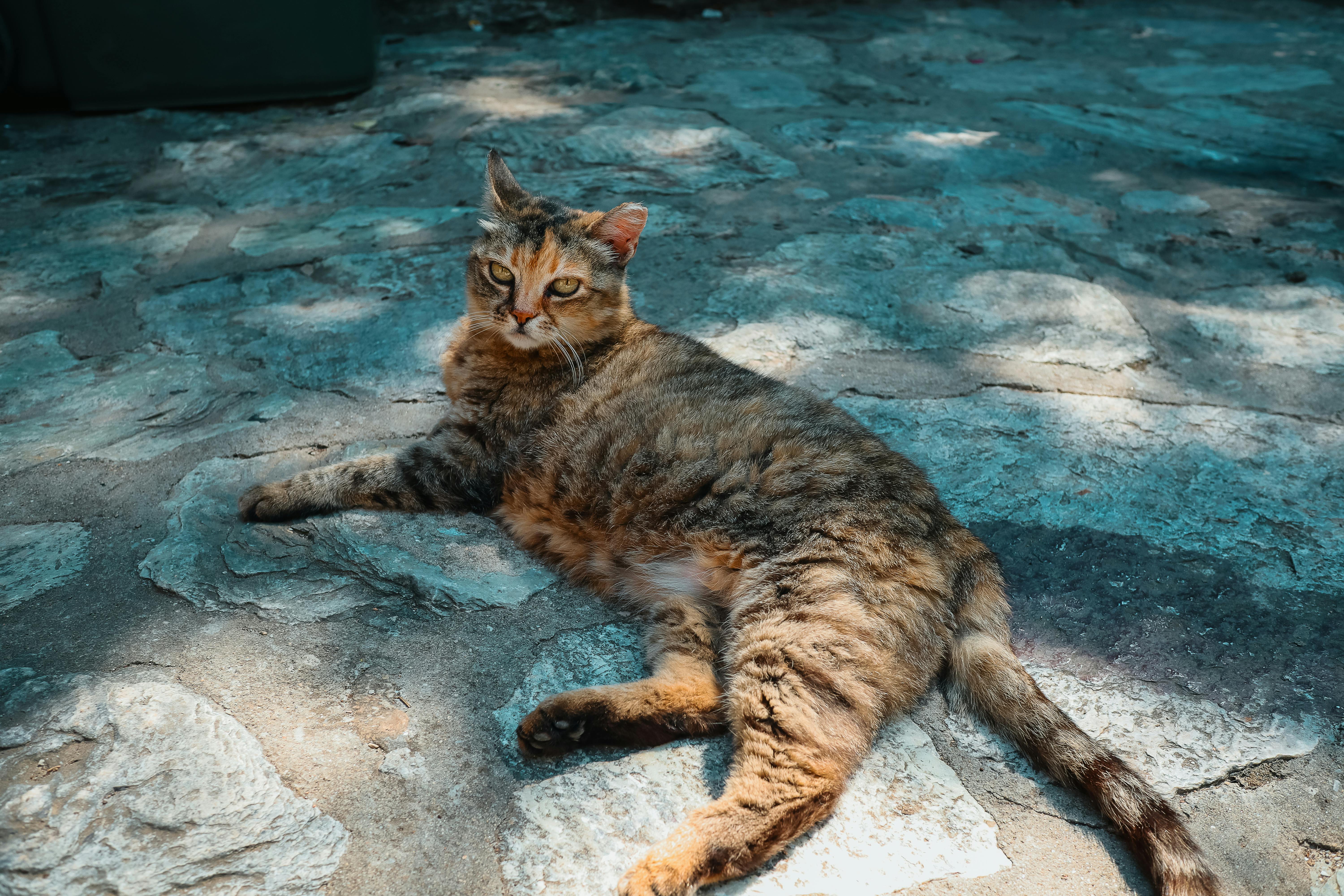 Legandary Stones Photos, Download The BEST Free Legandary Stones Stock ...