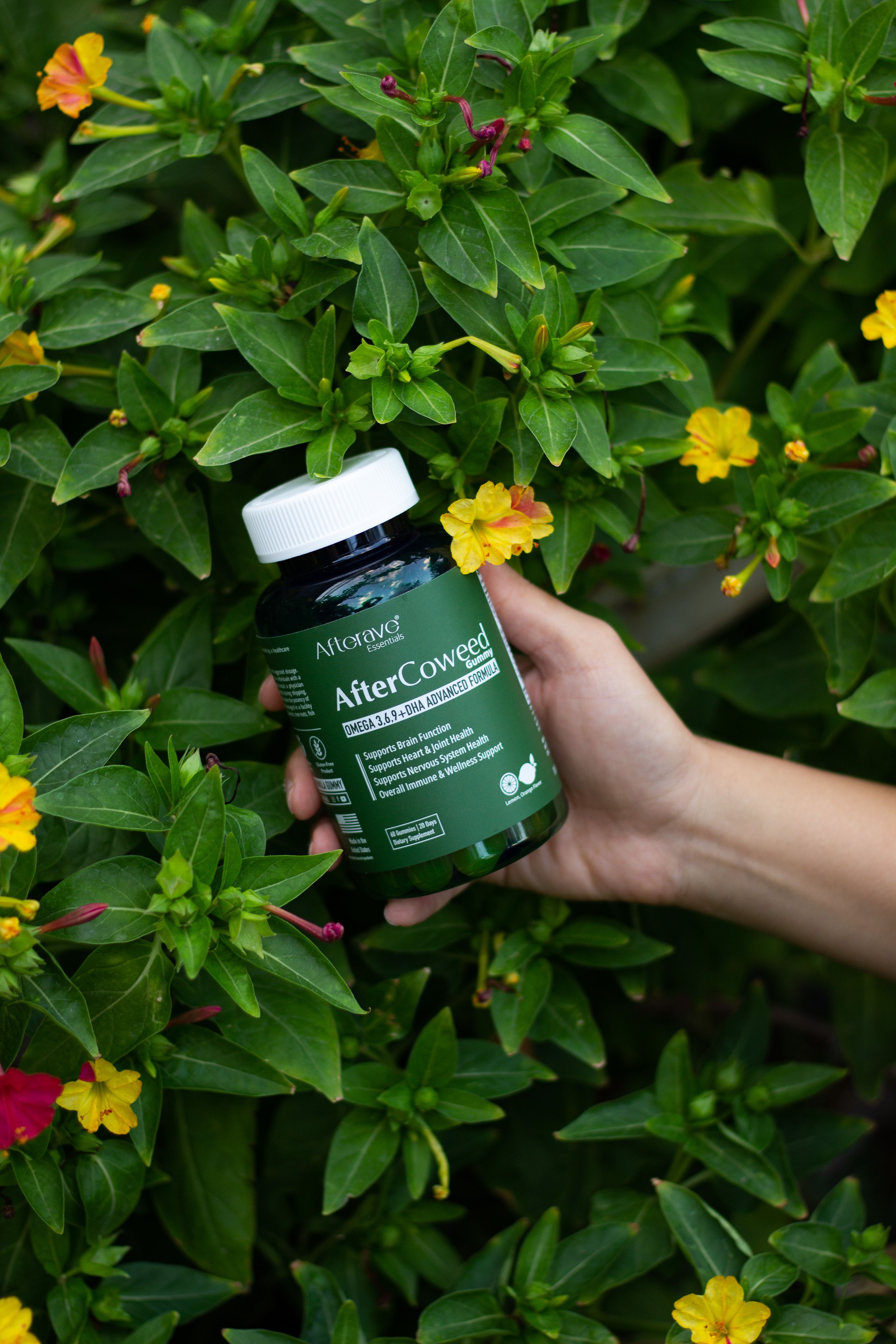 Hand Holding Supplement Bottle Among Flowers · Free Stock Photo