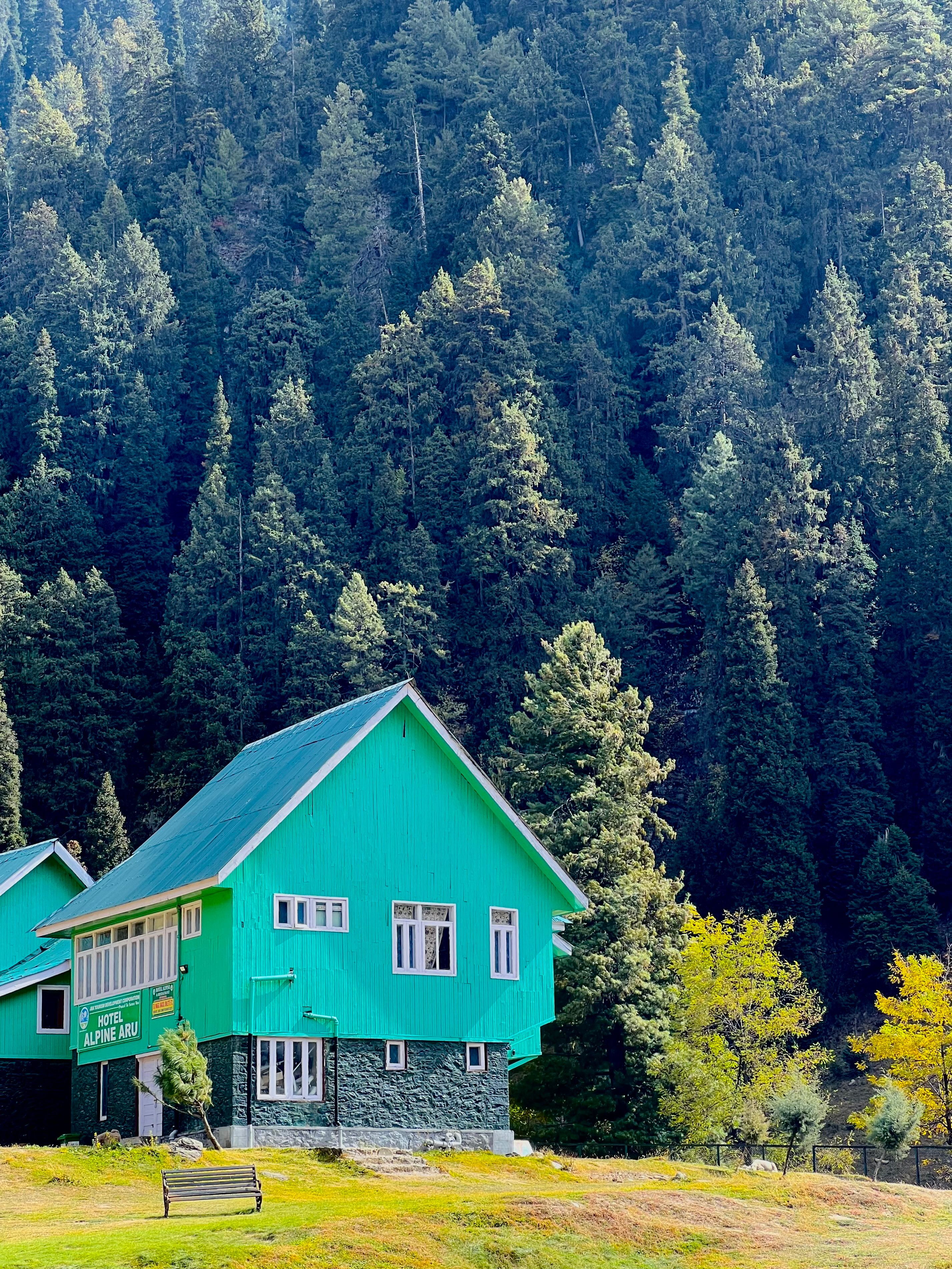Charming Green Cabin Amidst Pahalgam Forest · Free Stock Photo