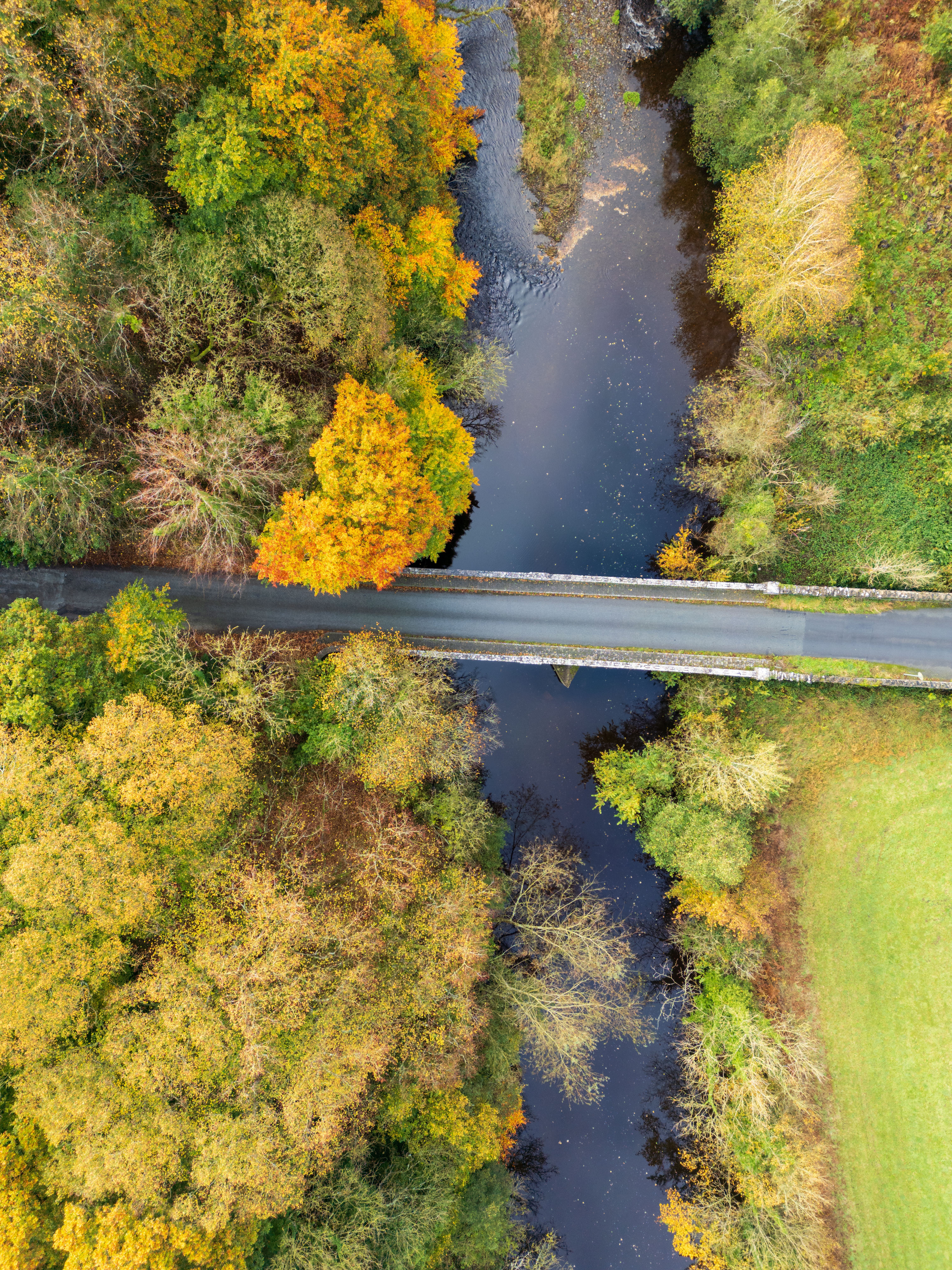 Aerial View of Autumn Trees and River Crossing Bridge · Free Stock Photo