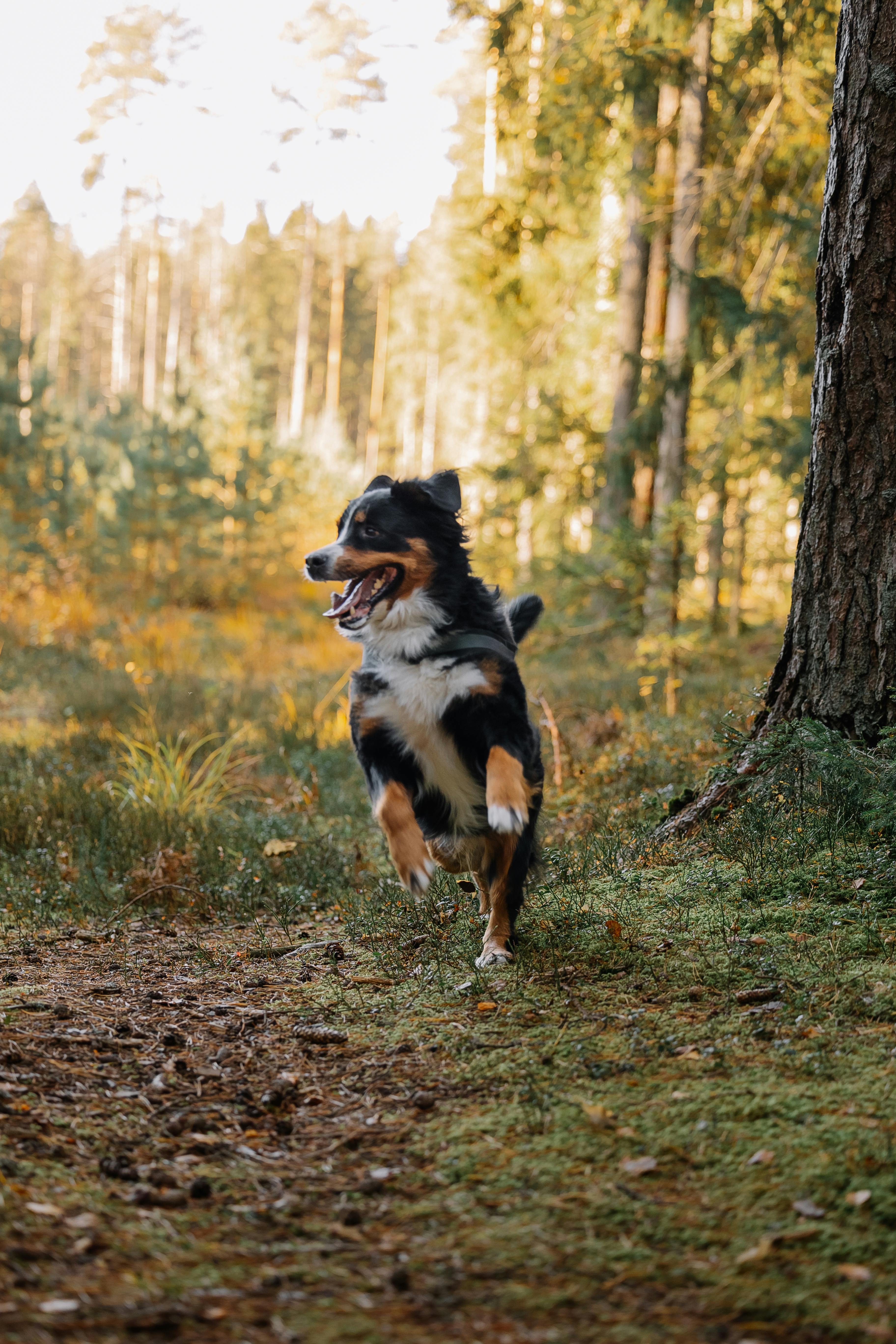 Active Landscape Photos, Download The BEST Free Active Landscape Stock ...