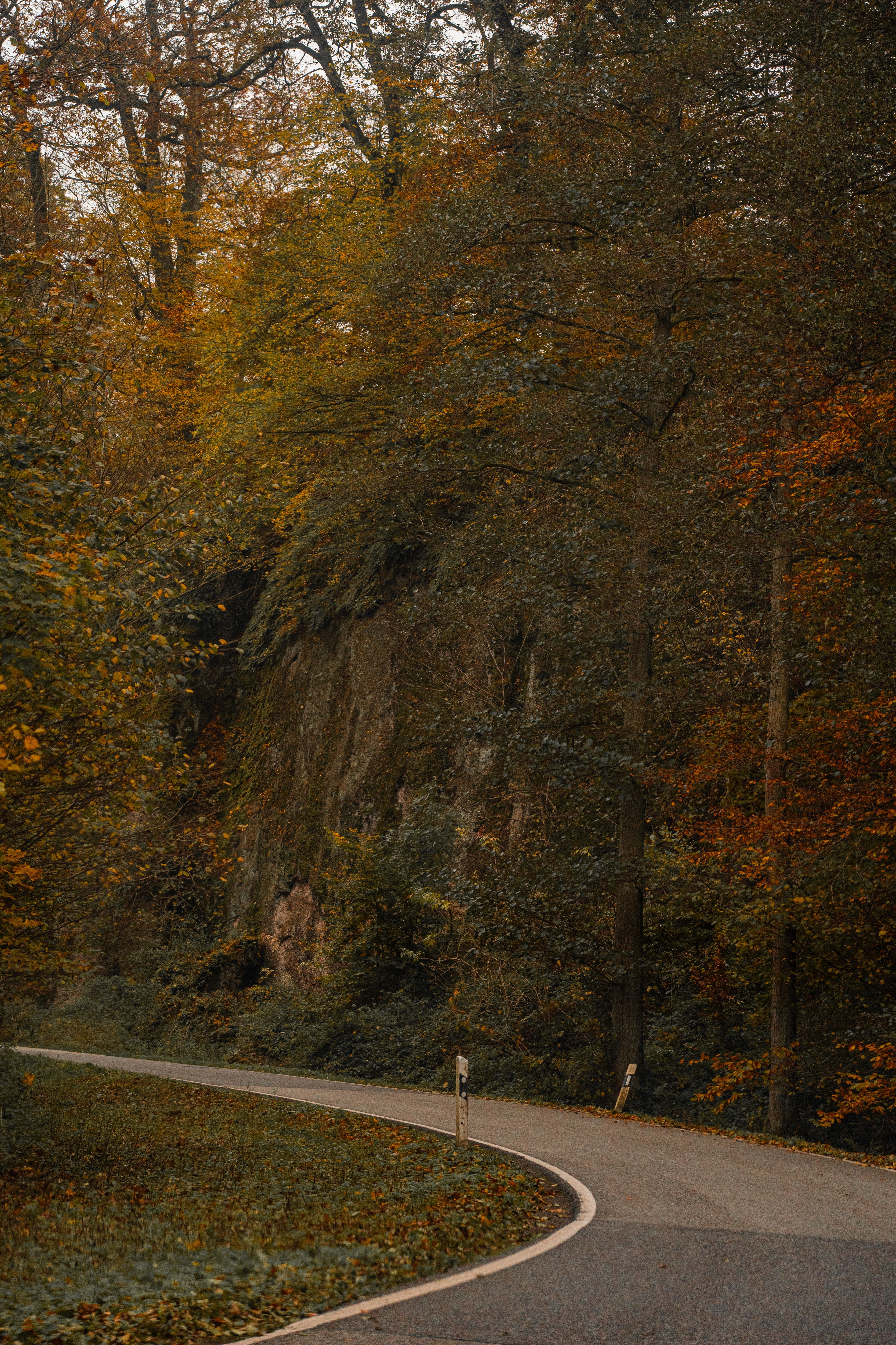 Curved Road Through Autumn Forest Foliage · Free Stock Photo