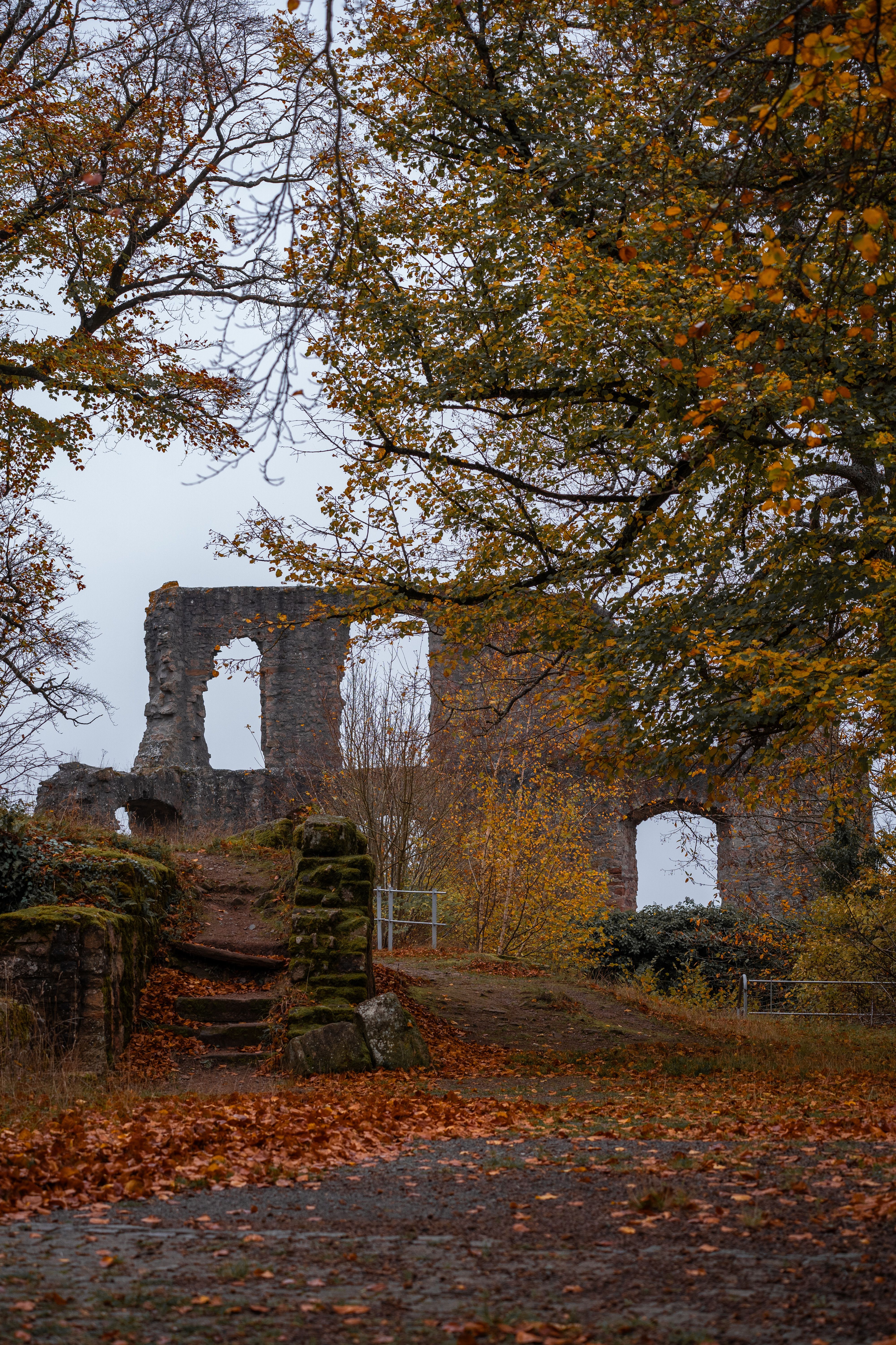 Ancient Ruins Amid Autumn Foliage · Free Stock Photo