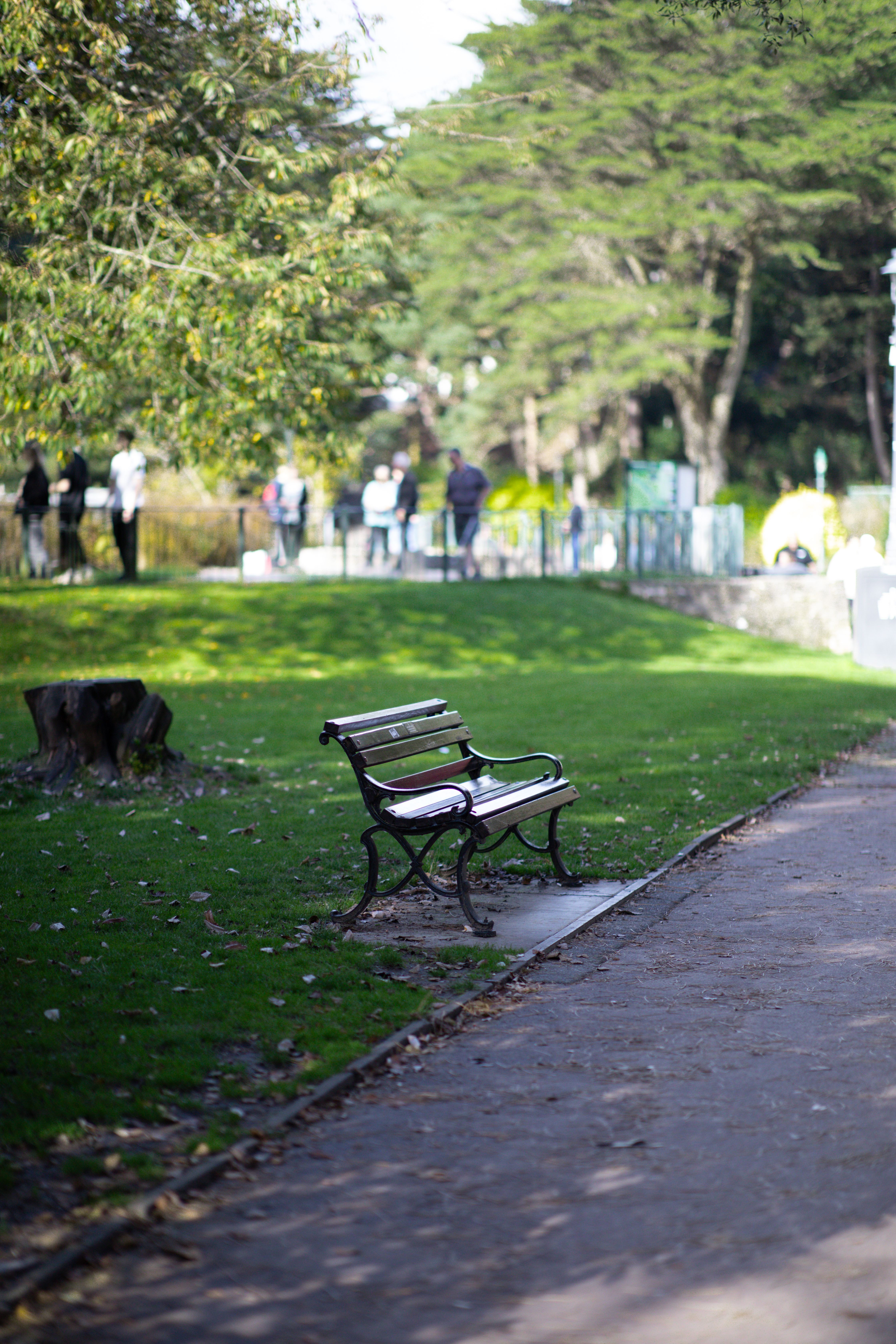 Quiet Park Bench in Bournemouth Park · Free Stock Photo