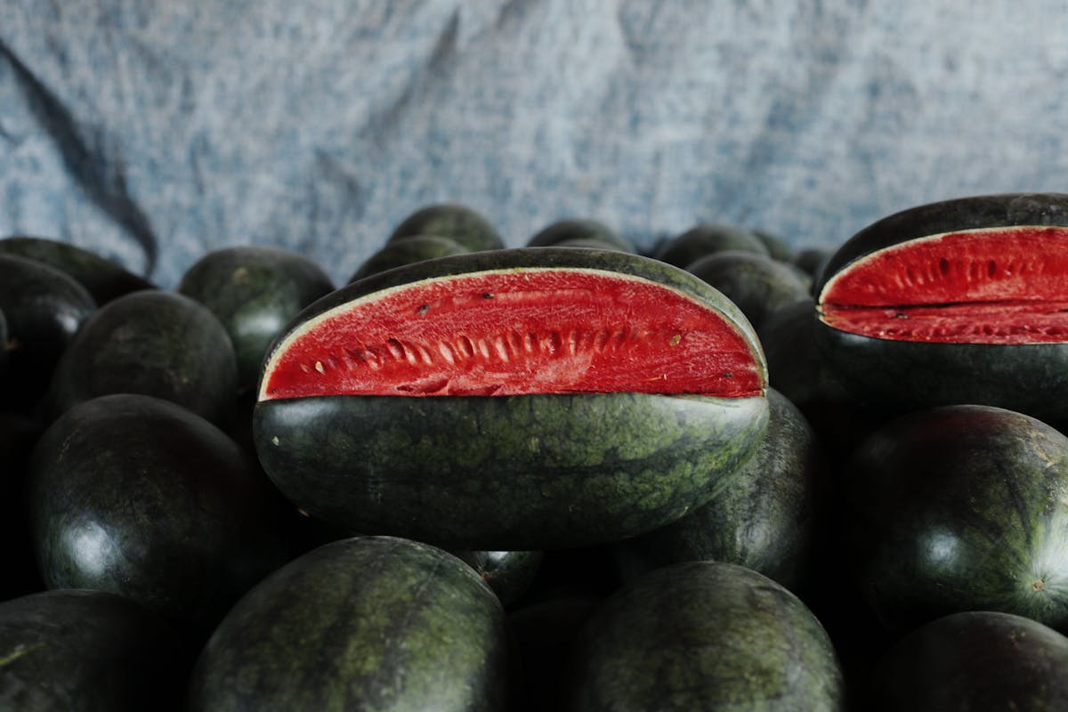 Watermelon Gum Photos, Download The BEST Free Watermelon Gum Stock ...