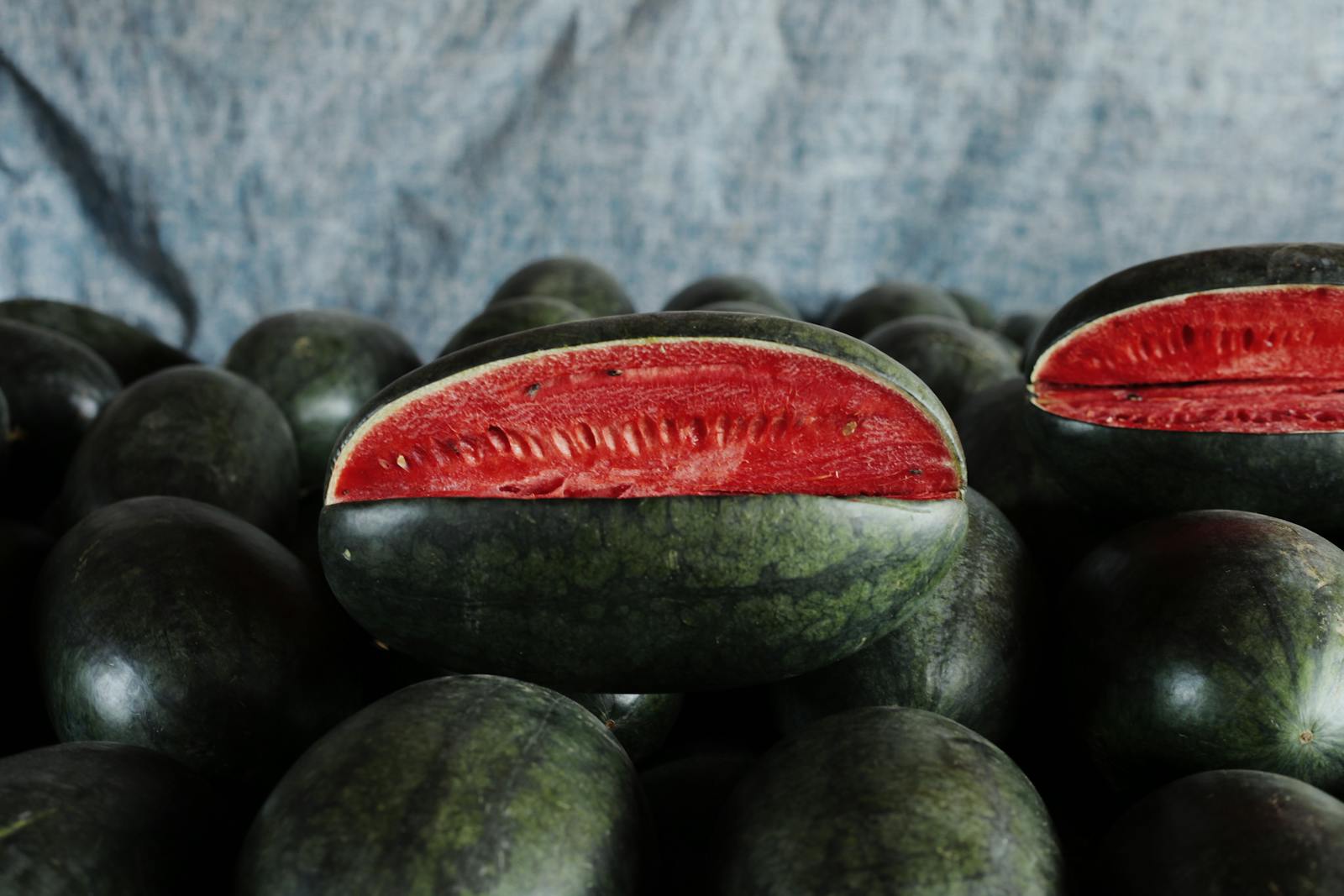 Watermelon Gum Photos, Download The BEST Free Watermelon Gum Stock ...