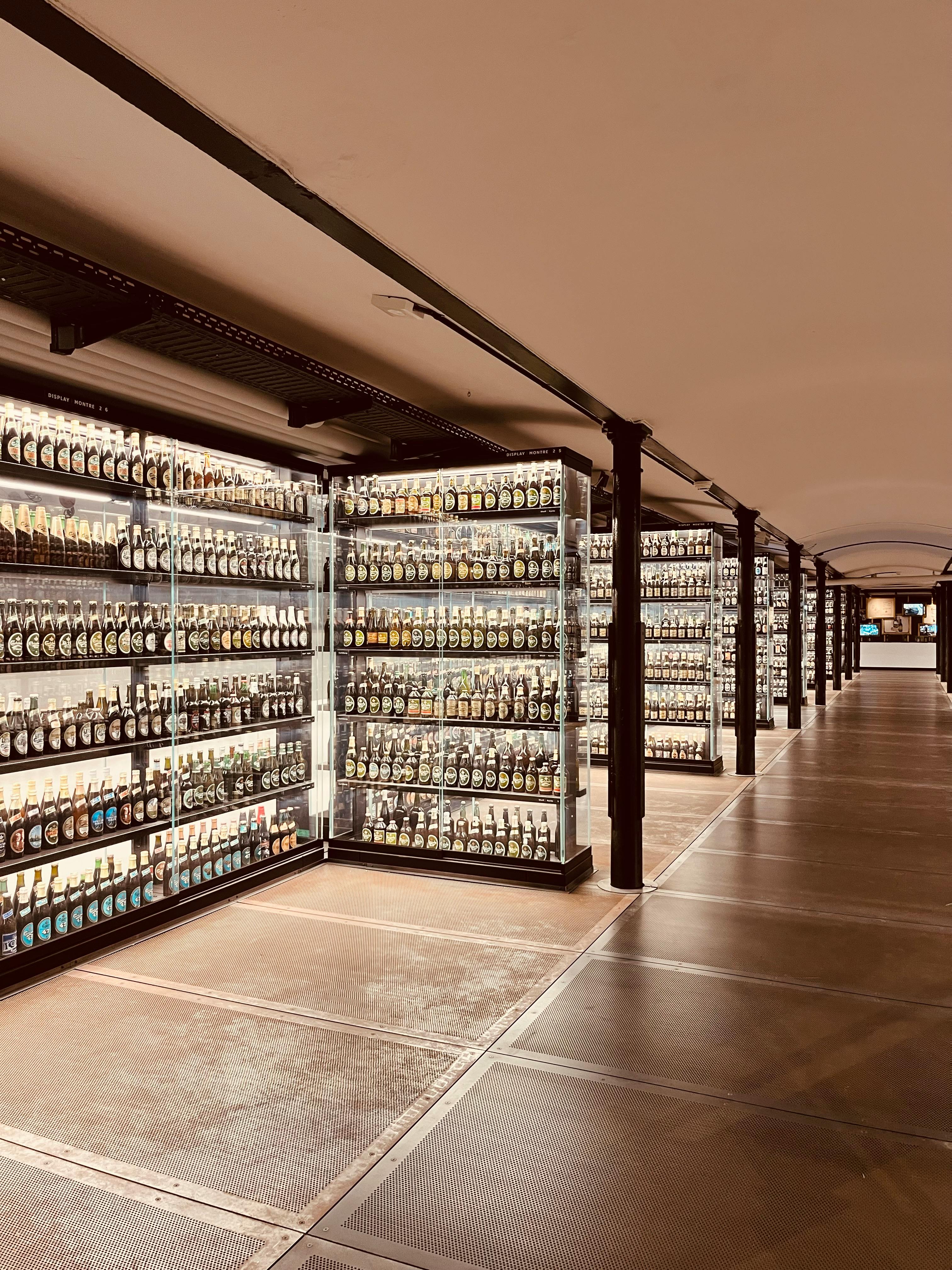 Extensive Beer Bottle Collection in Museum Display · Free Stock Photo