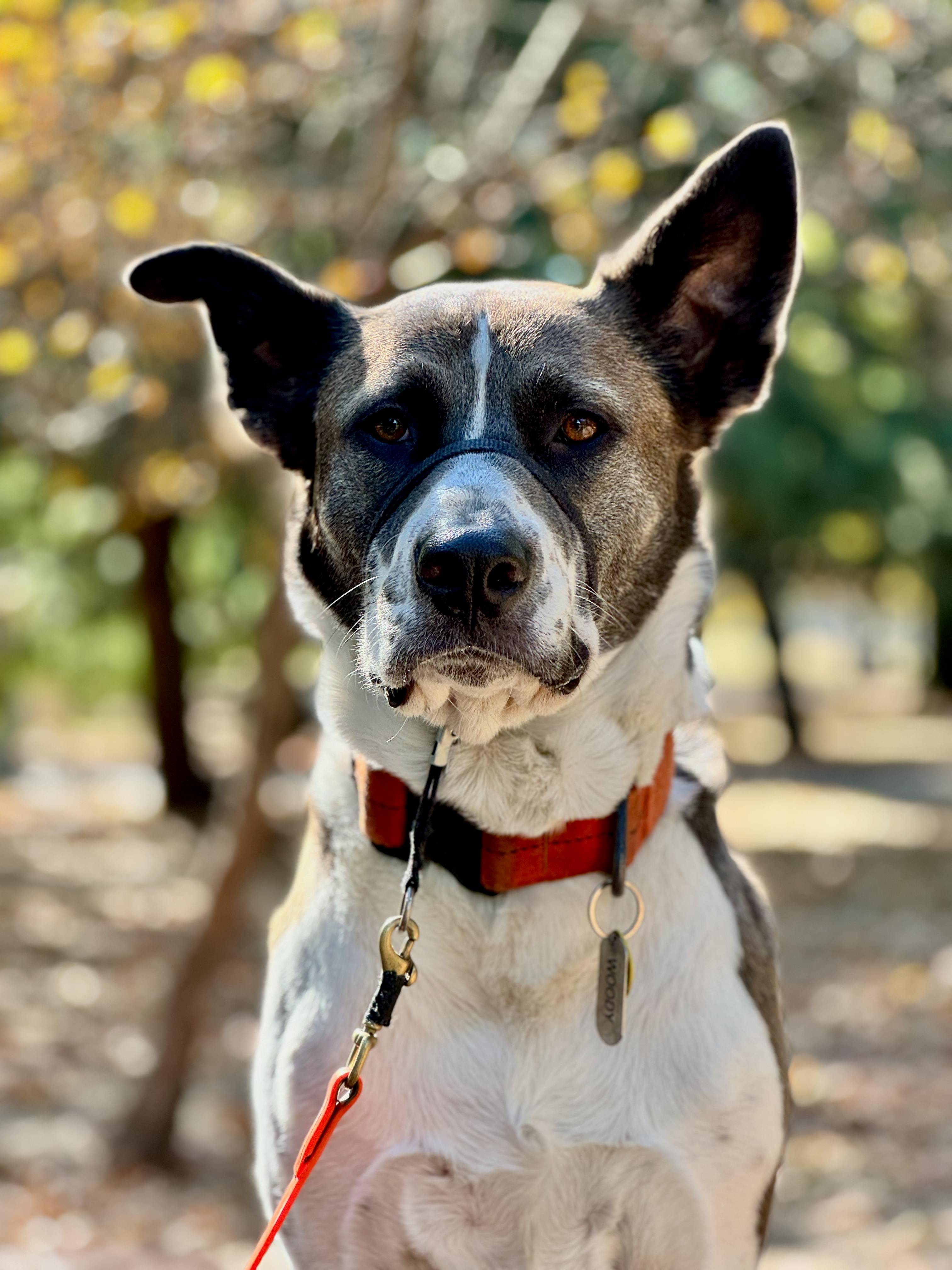 Alert Face Photos, Download The BEST Free Alert Face Stock Photos & HD ...