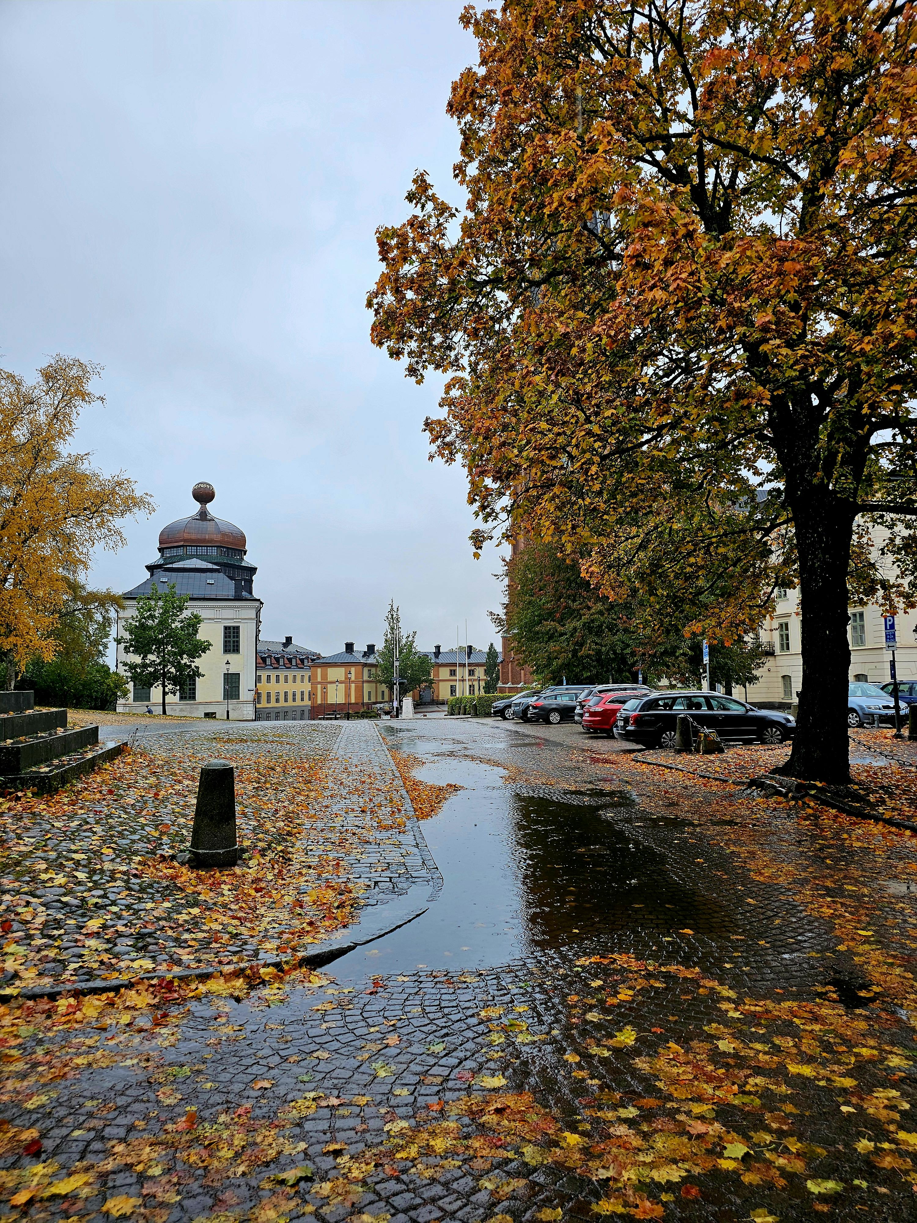 Historic Uppsala Street in Autumn Rain · Free Stock Photo