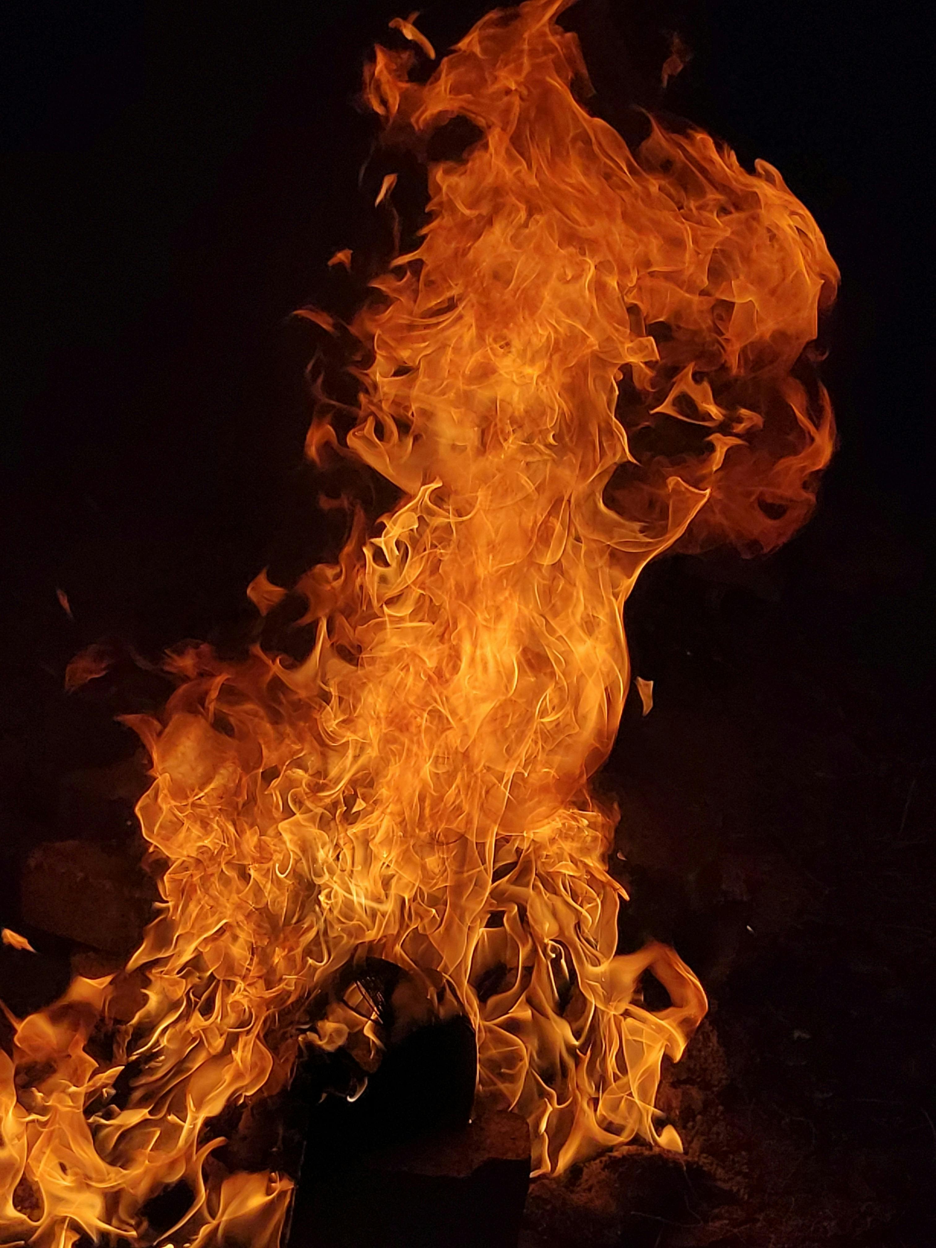 Dramatic Close-Up of a Campfire Blaze · Free Stock Photo
