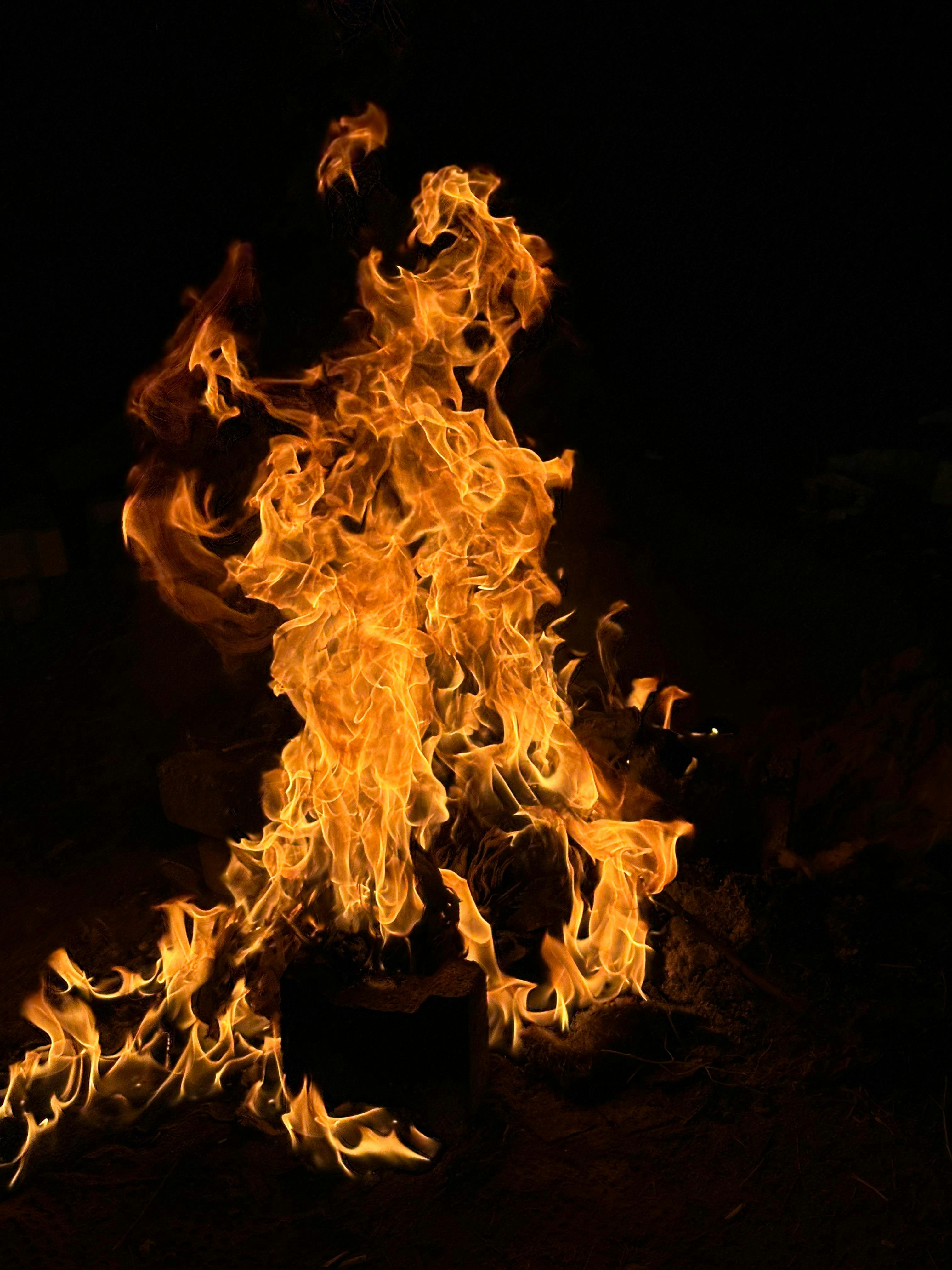 Dramatic Fire Flames against Dark Night · Free Stock Photo