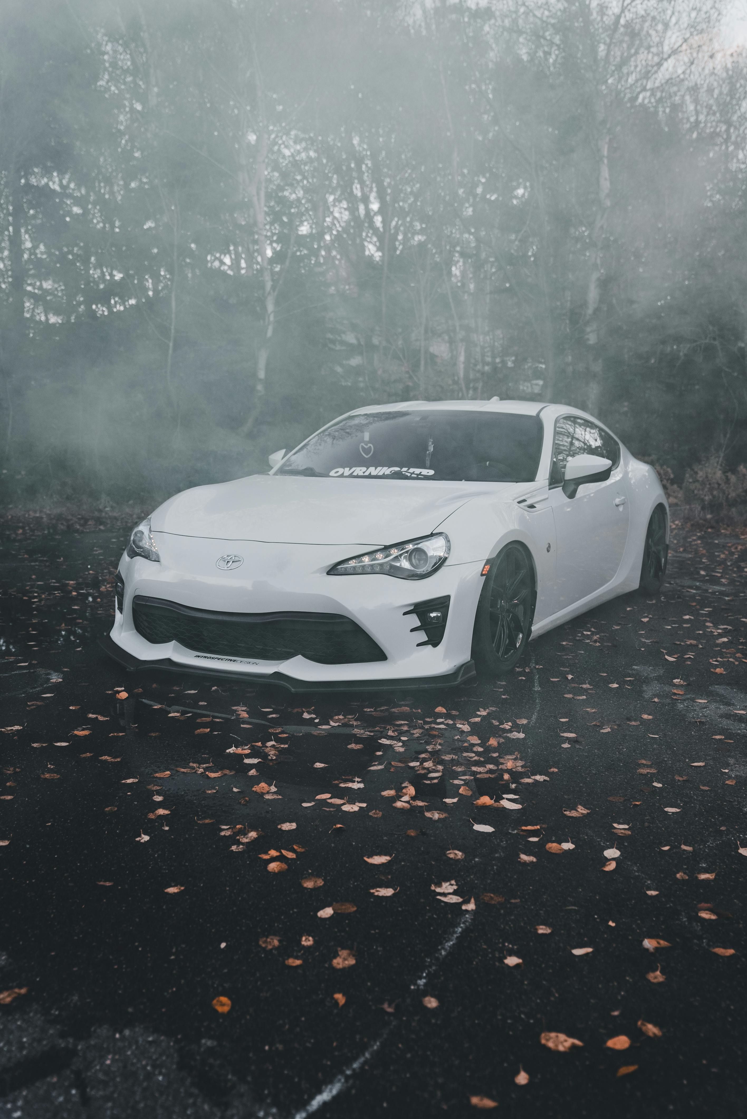 Tesla Grounding Photos, Download The BEST Free Tesla Grounding Stock ...