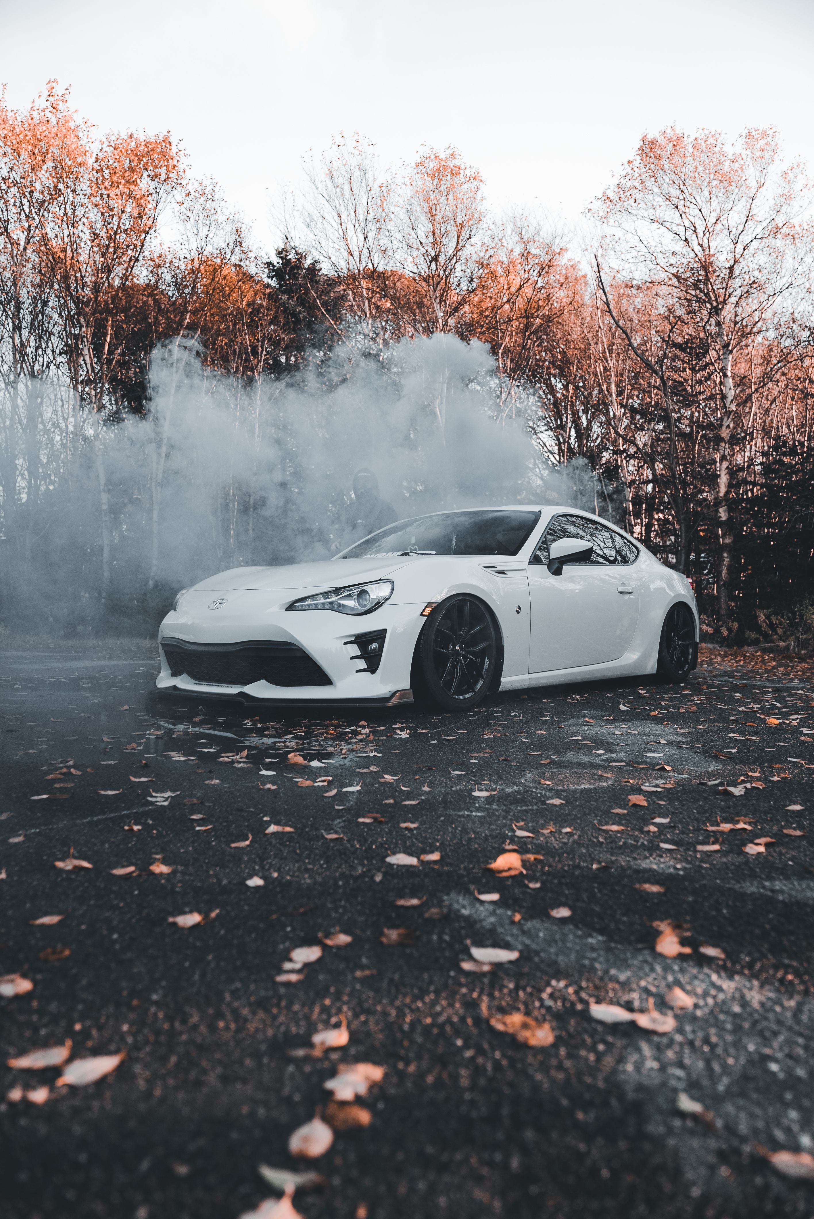 White Sports Car Amidst Autumn Mist in Forest · Free Stock Photo