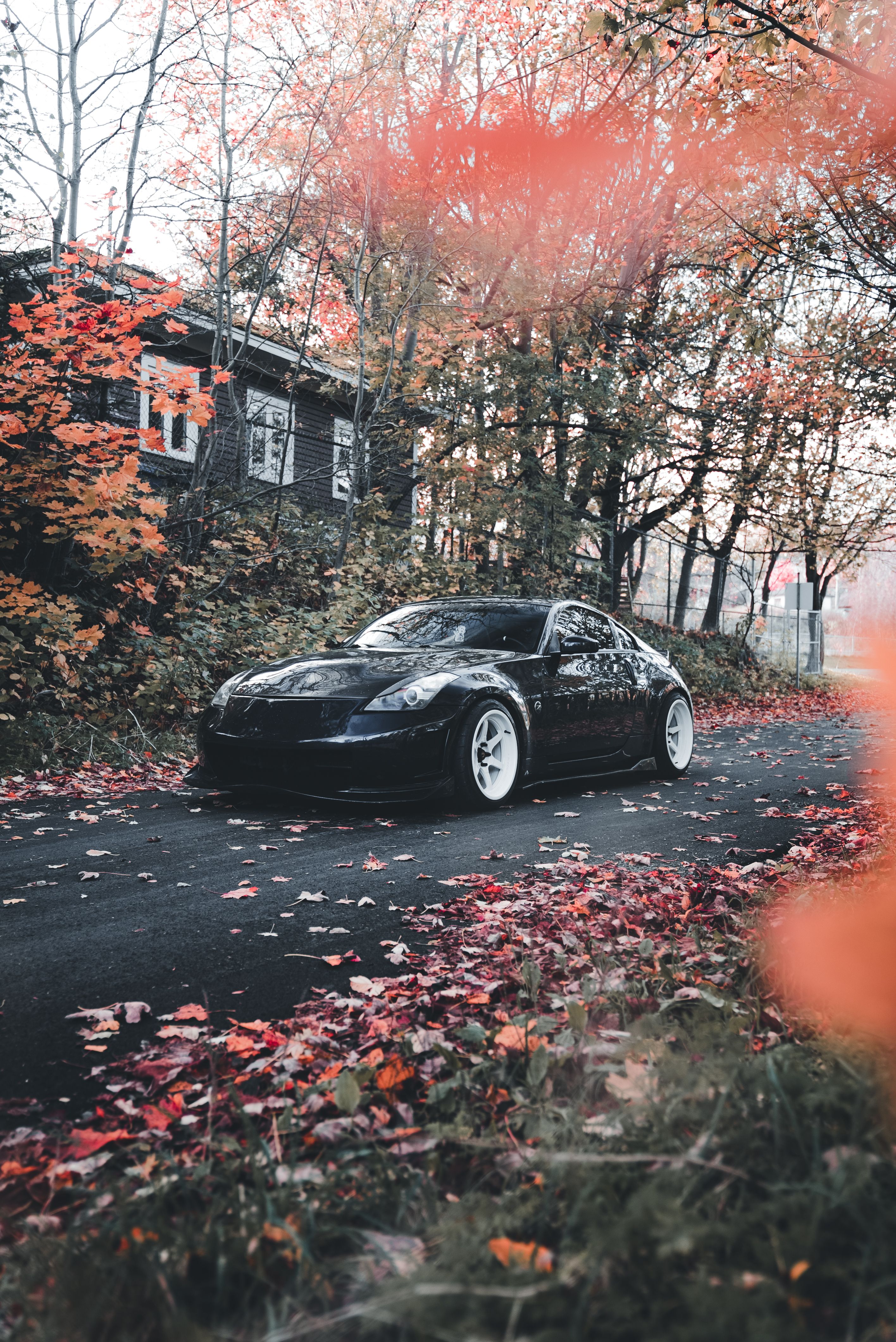 Sleek Sports Car on an Autumn Forest Road · Free Stock Photo