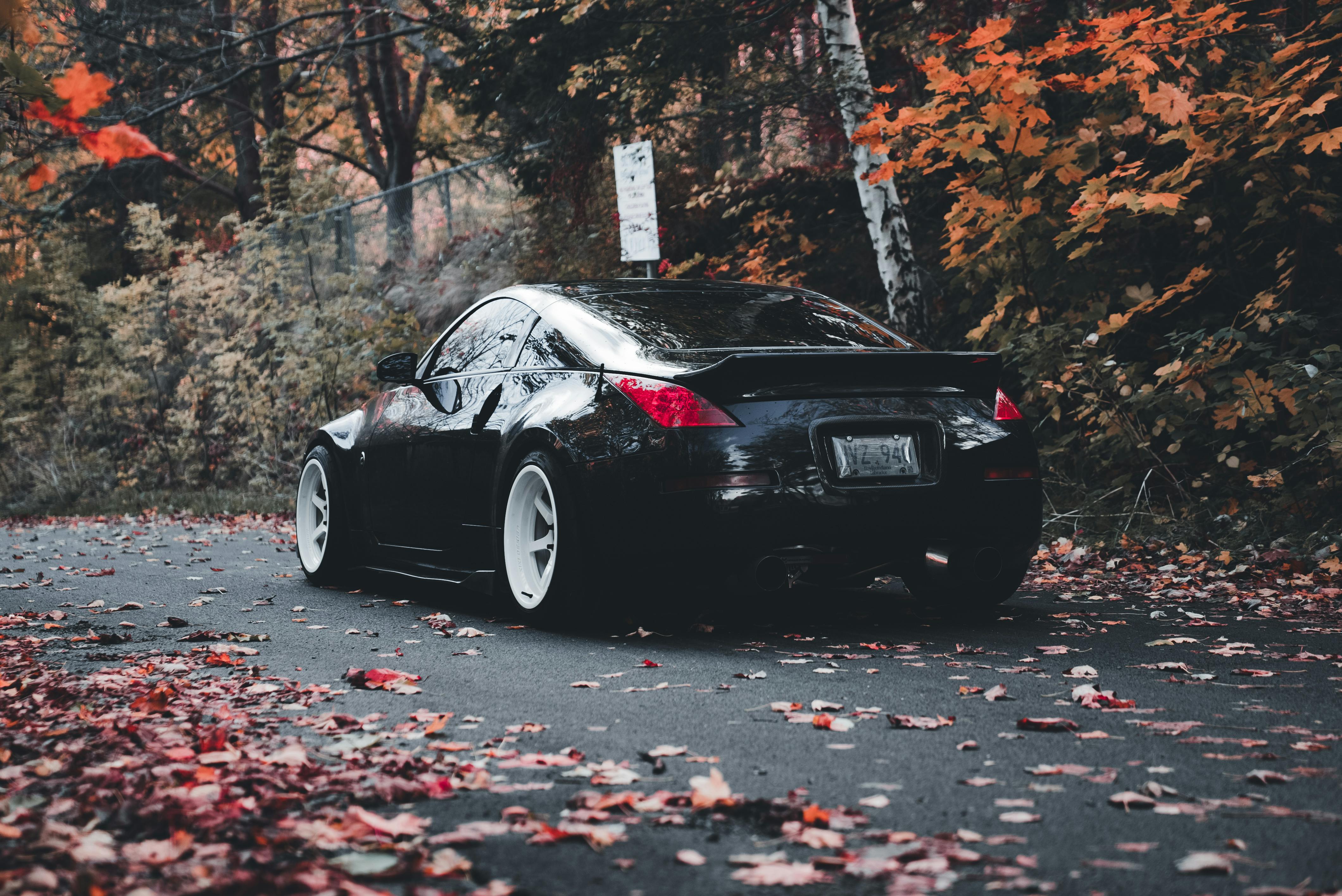 Sleek Black Car in Autumn Forest Setting · Free Stock Photo