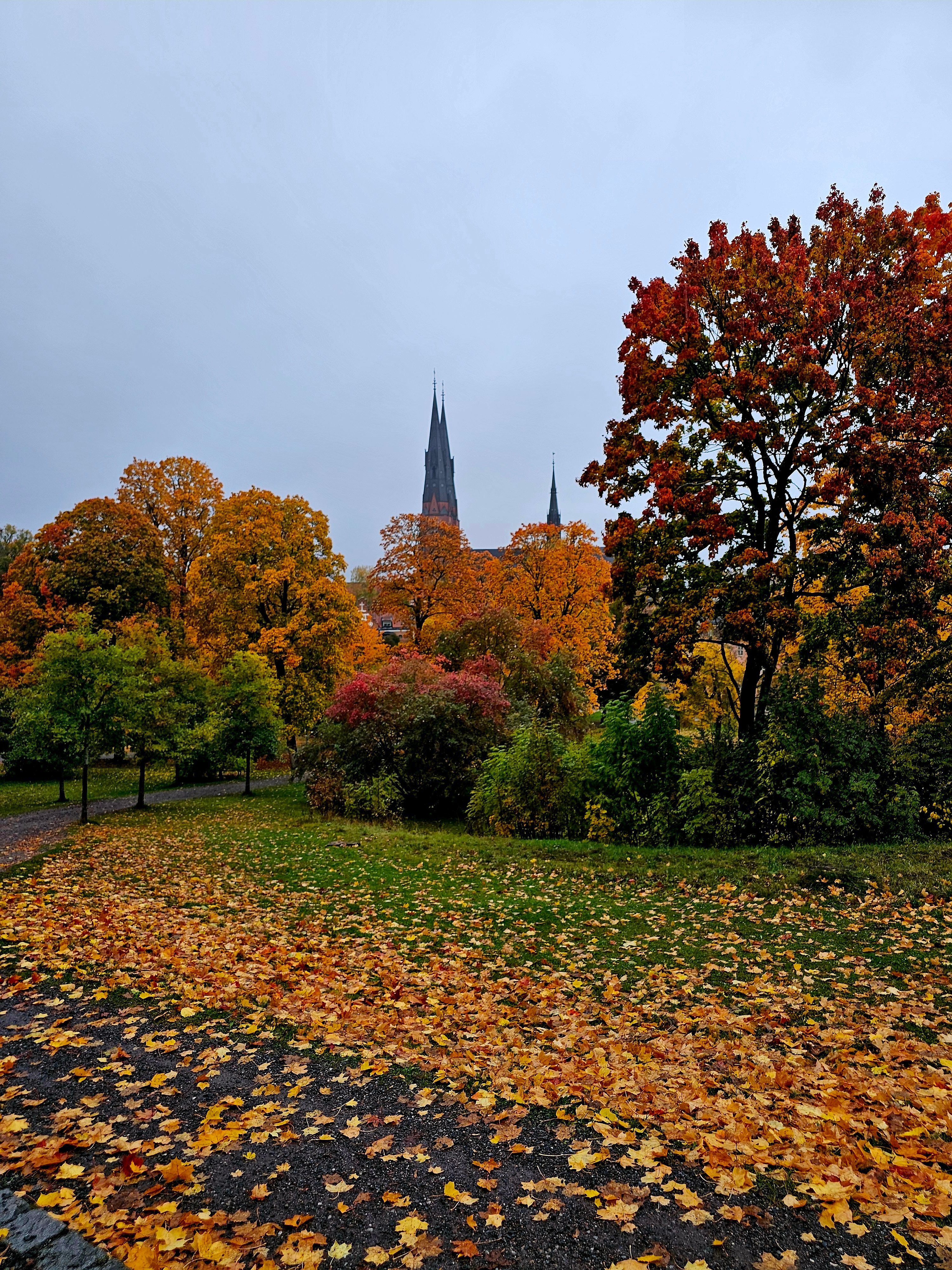 Uppsala Cathedral in Autumn Foliage · Free Stock Photo