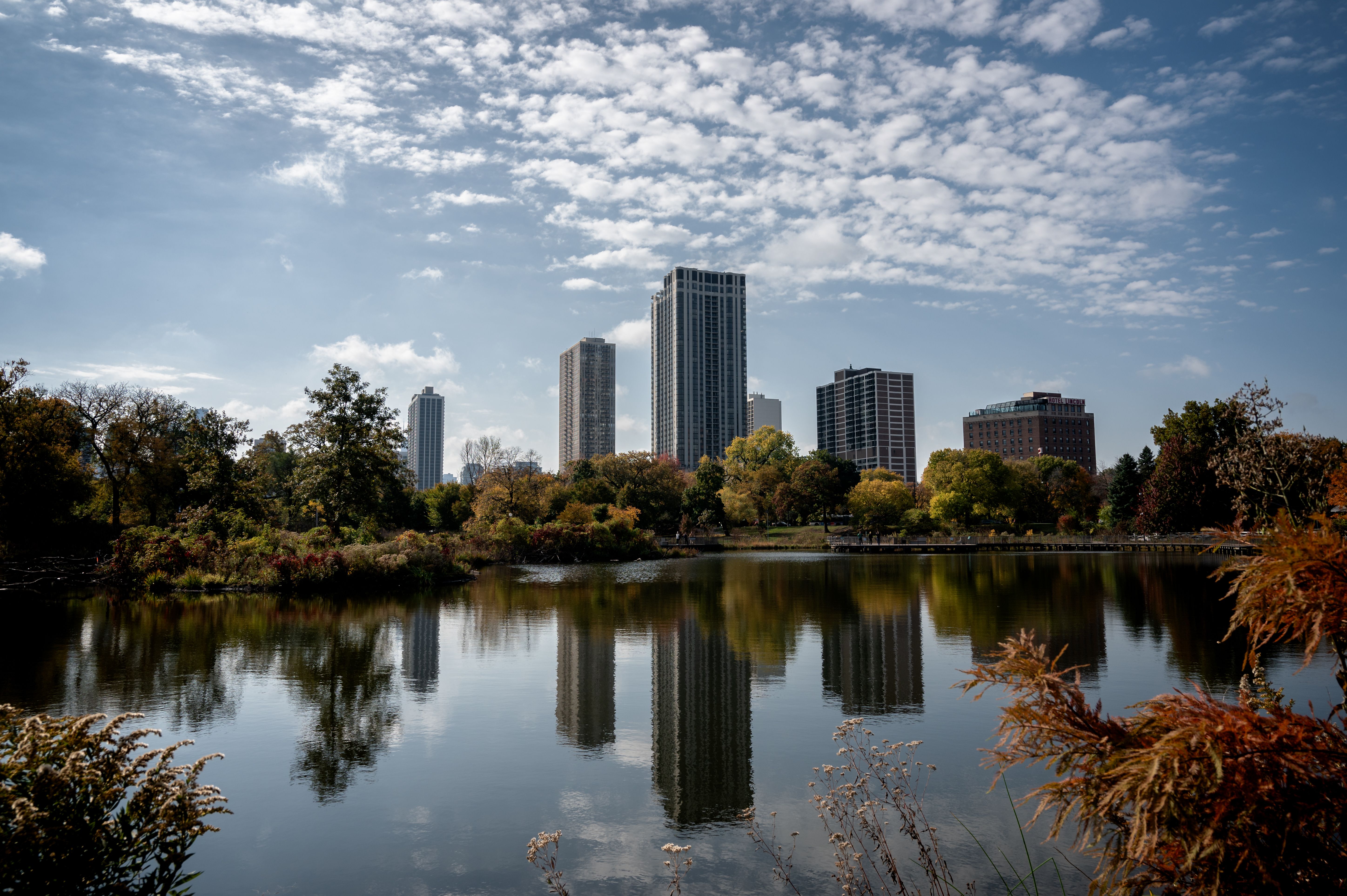 Chicago Skyline Reflections and Fall Foliage · Free Stock Photo