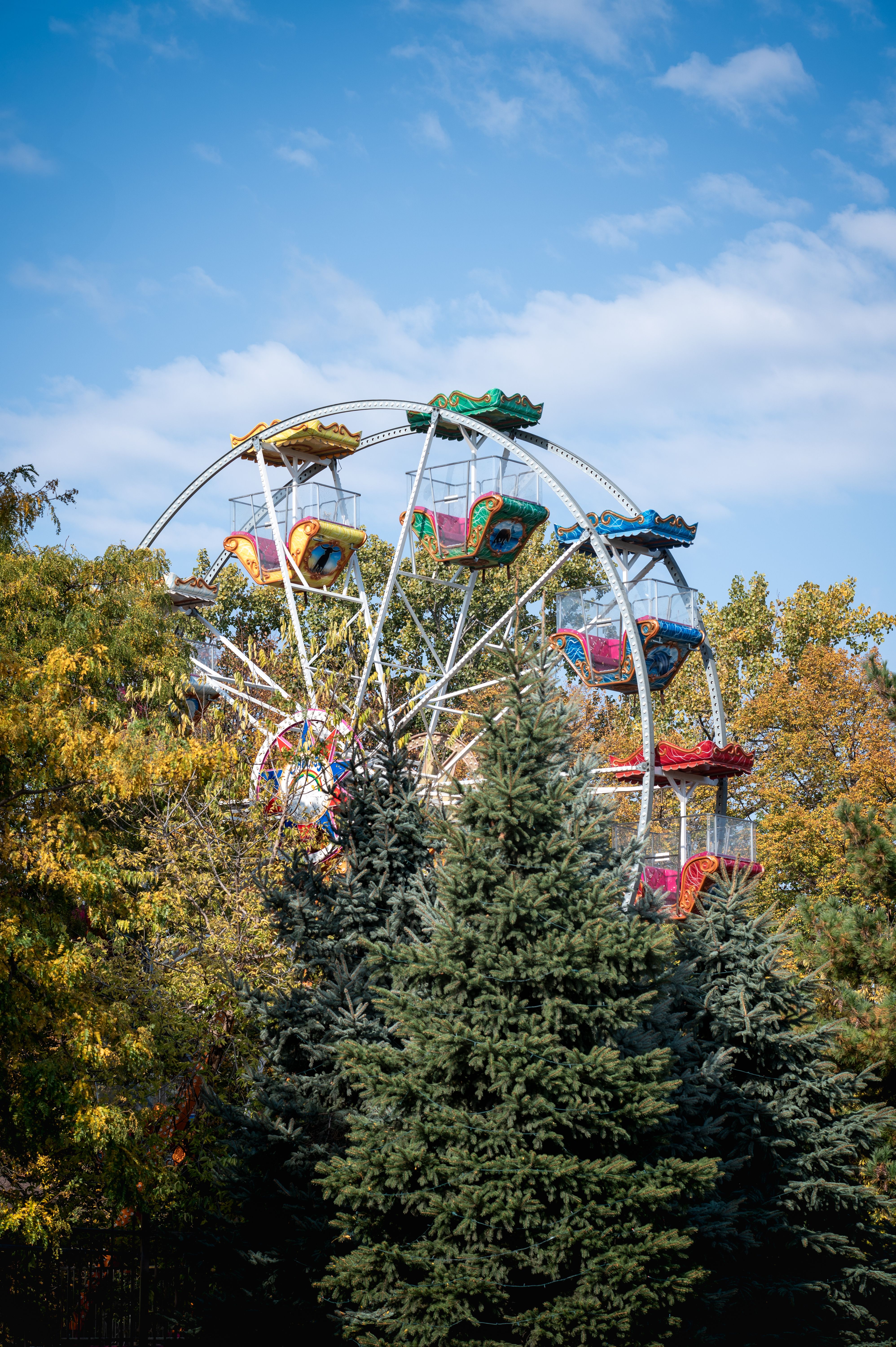 Colorful Ferris Wheel Among Autumn Trees in Chicago · Free Stock Photo
