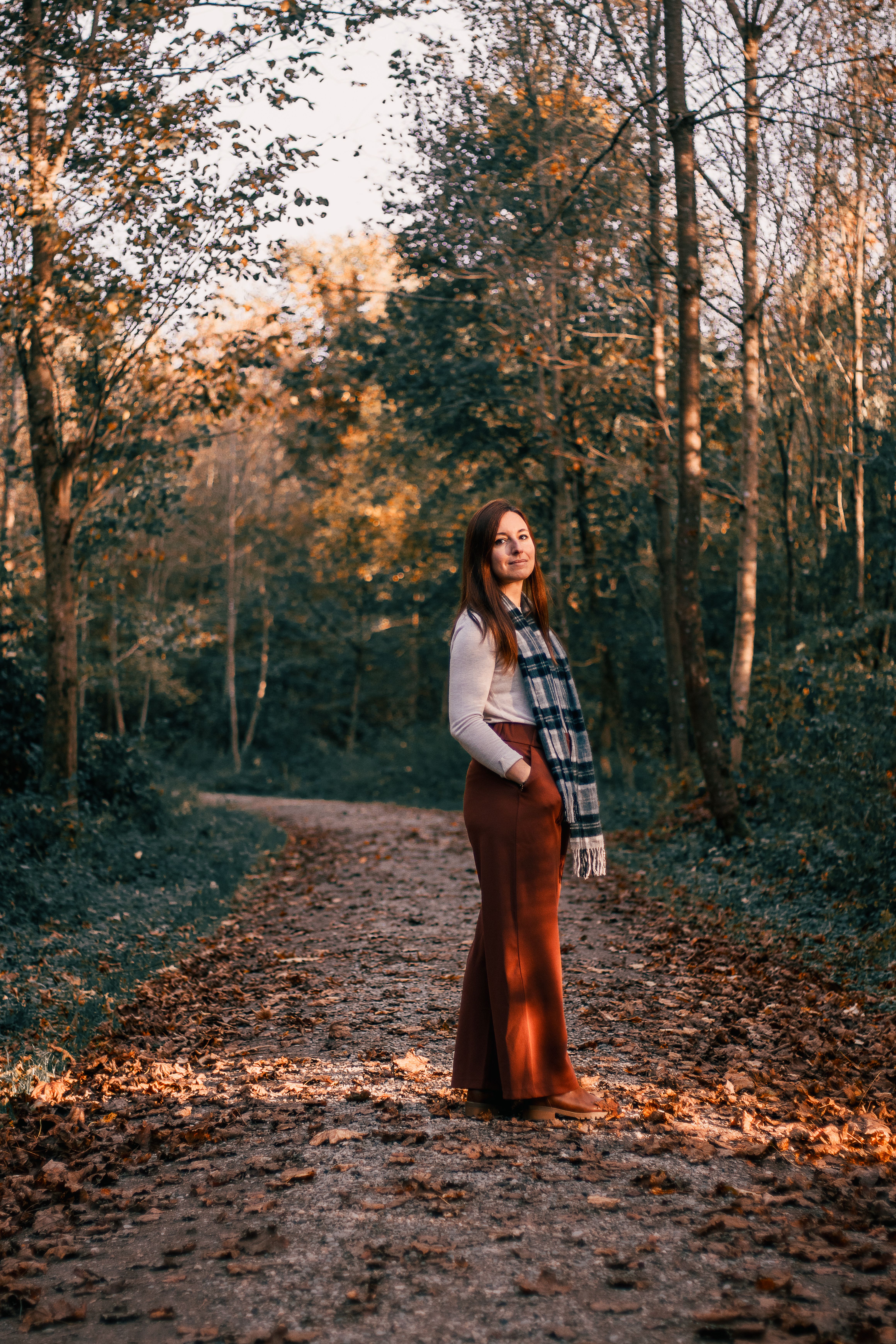 Autumn Stroll in Serene Forest Pathway · Free Stock Photo