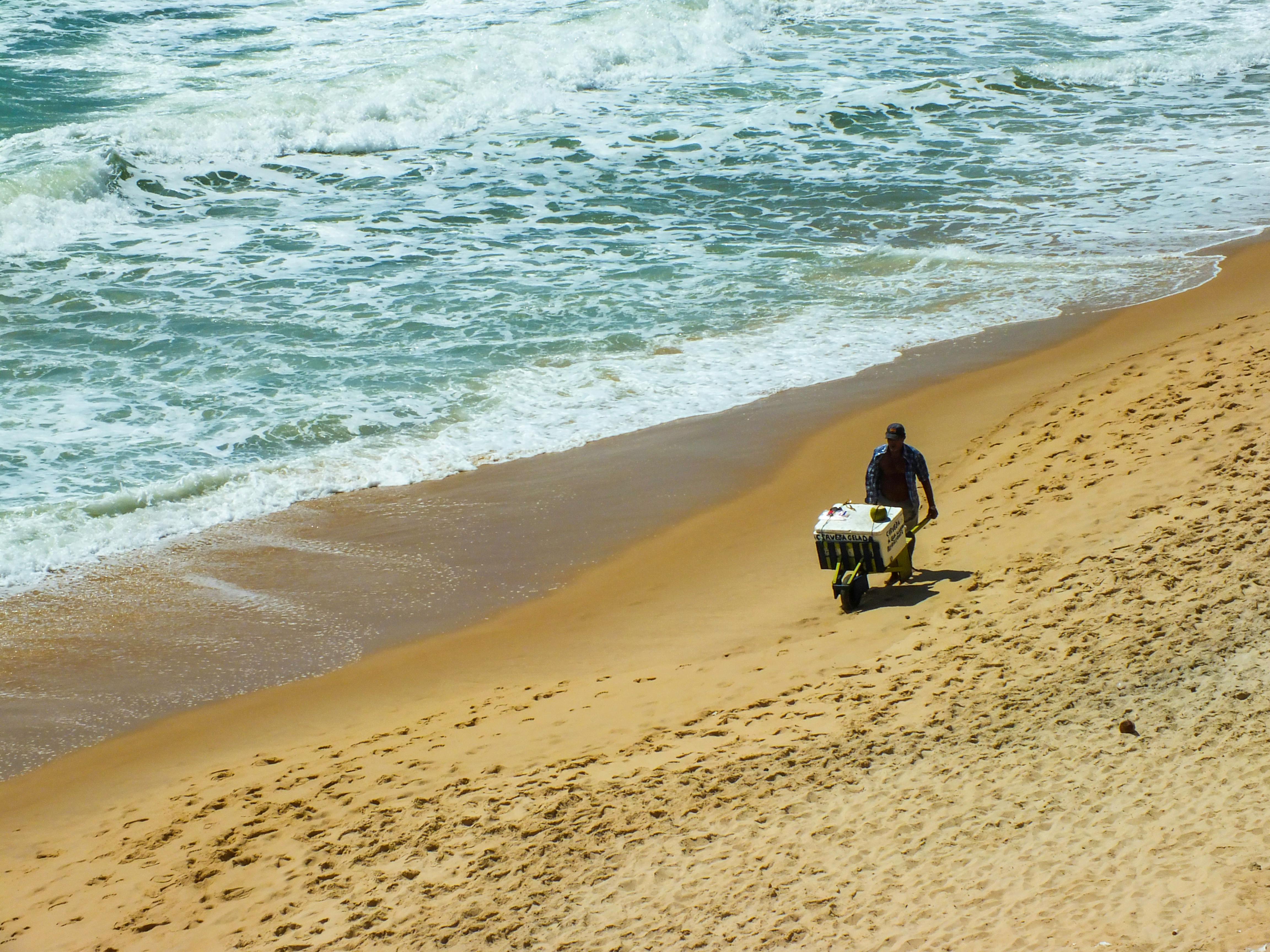 Man Walking on a Scenic Beach with Waves · Free Stock Photo