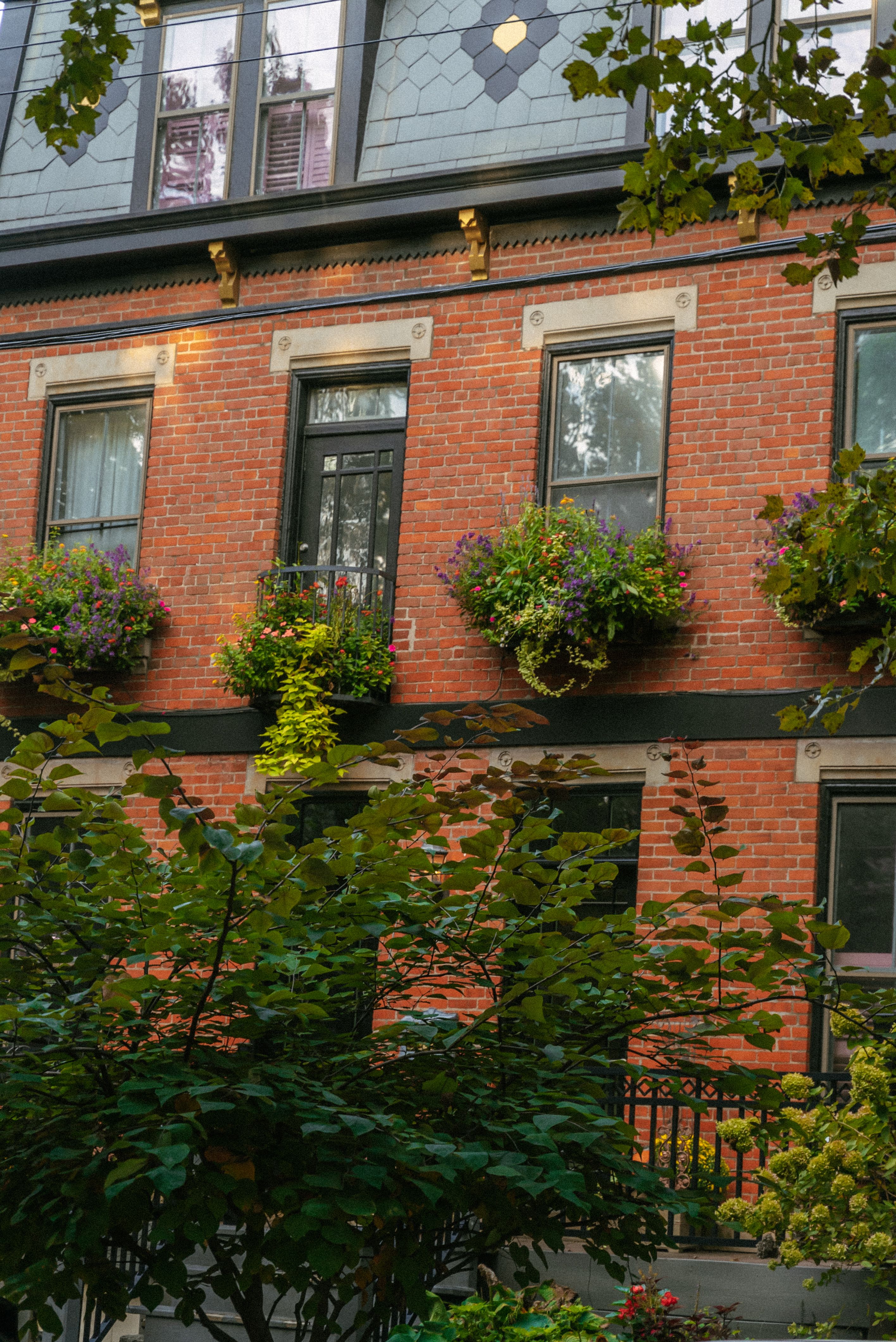 Charming Brick Facade with Fall Foliage in Cincinnati · Free Stock Photo