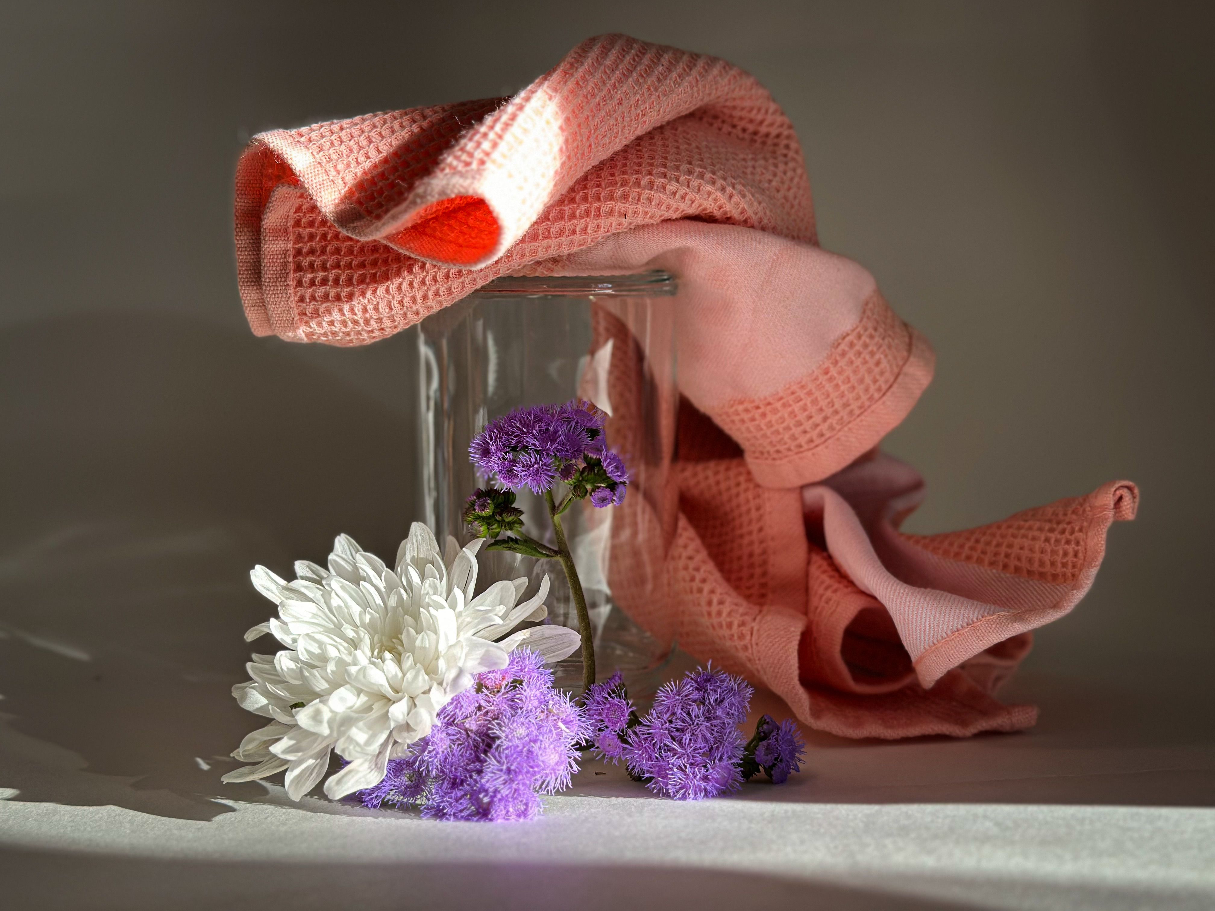 Elegant Still Life with Pink Cloth and Flowers · Free Stock Photo