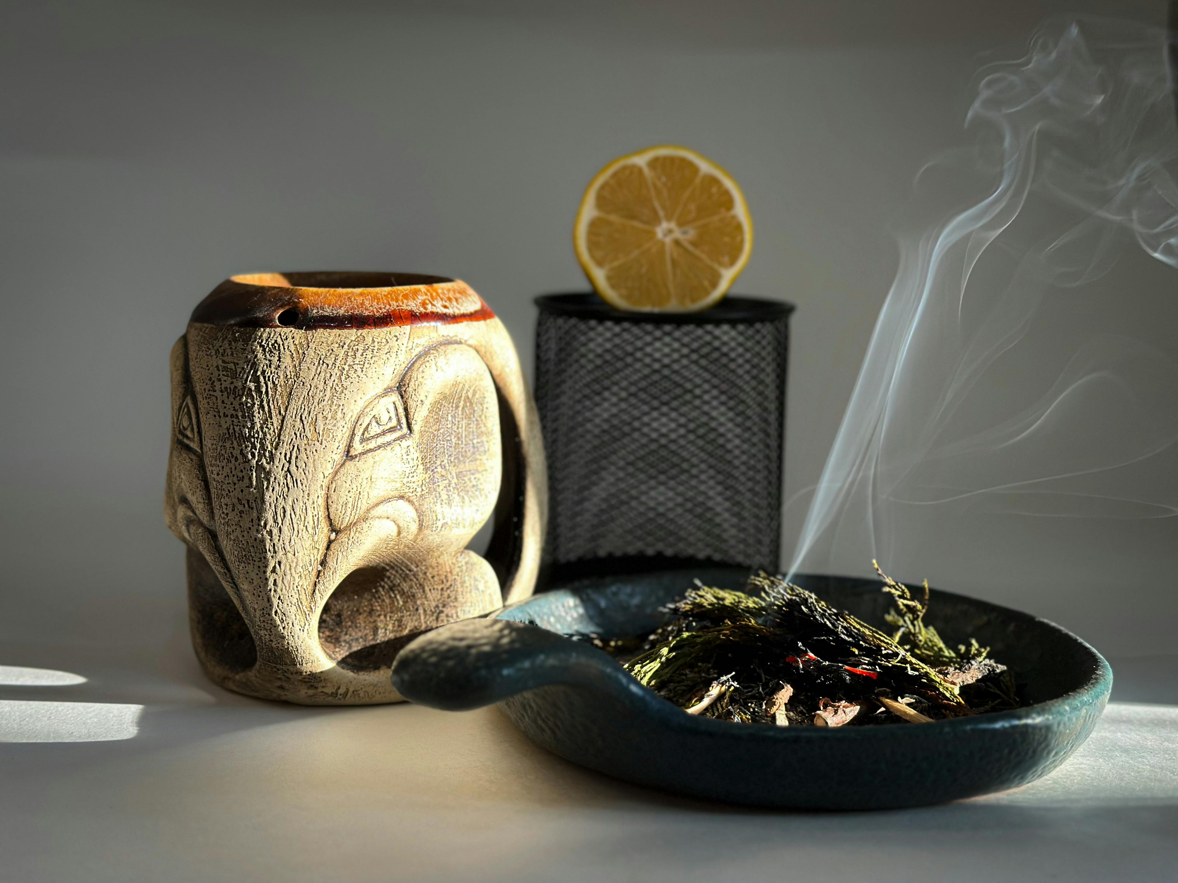 Elephant Trails Photos, Download The BEST Free Elephant Trails Stock ...