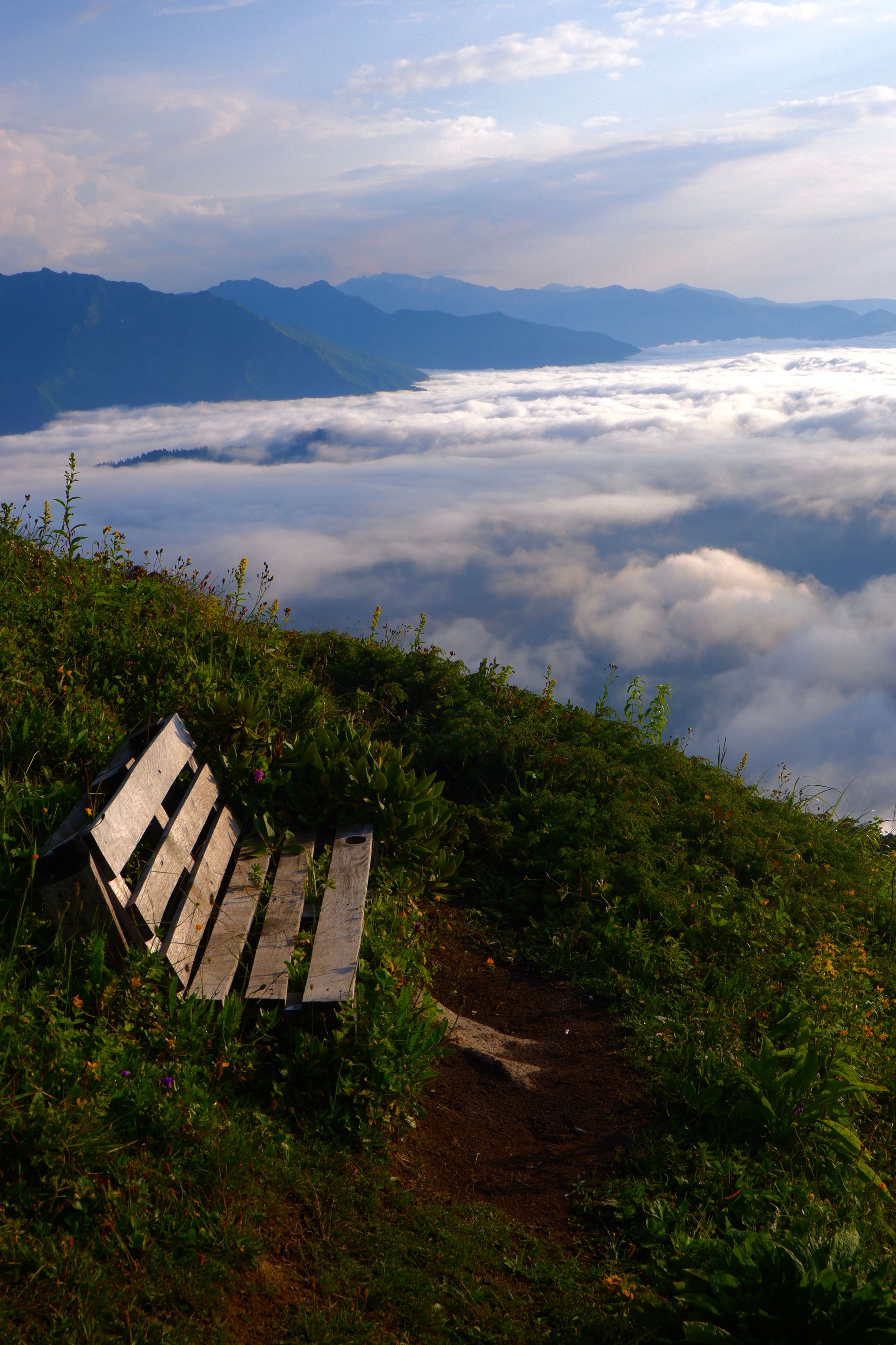 Serene Mountain View with Wooden Bench · Free Stock Photo