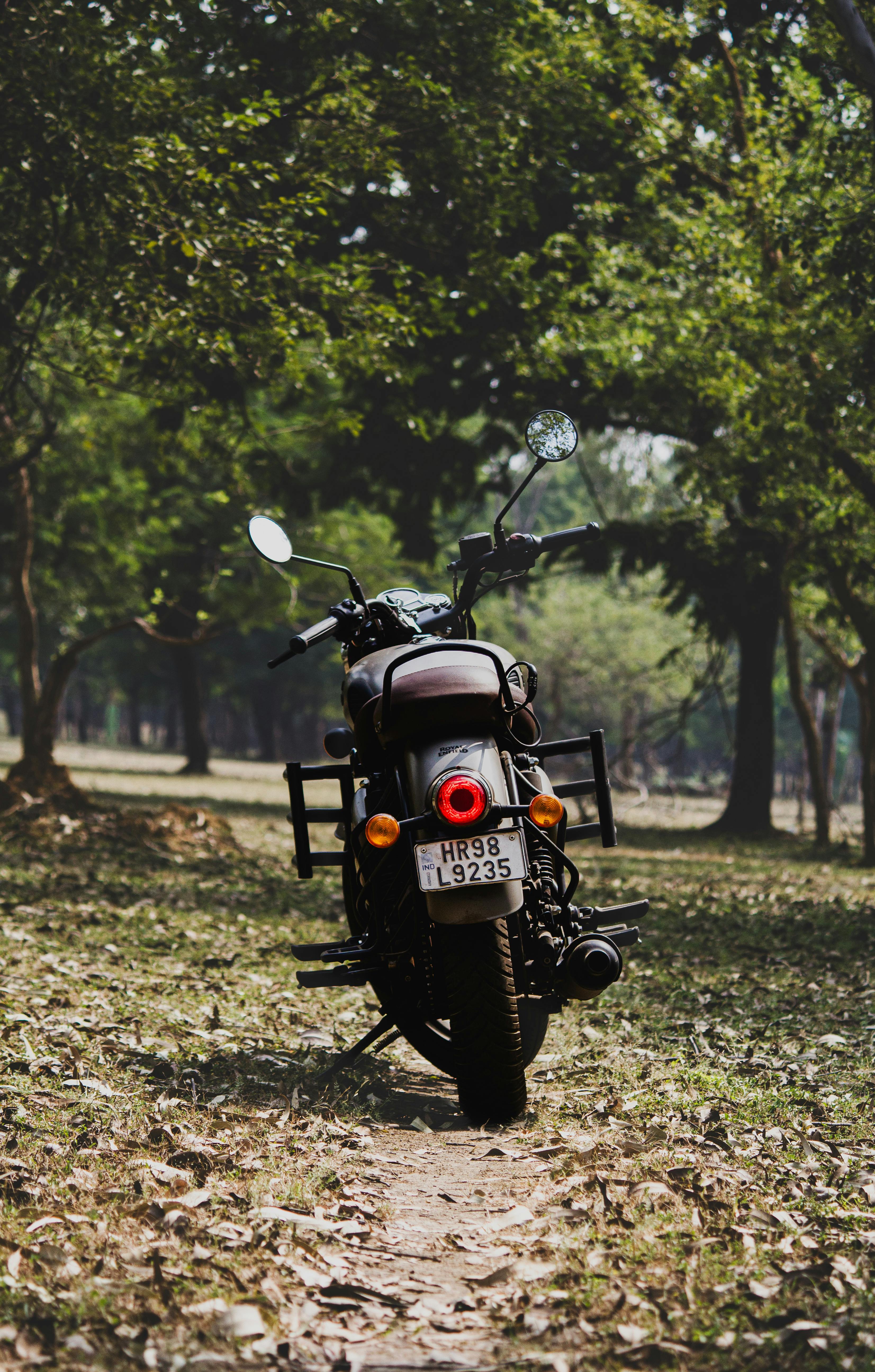 Royal Enfield Motorcycle in Lush Forest Path · Free Stock Photo