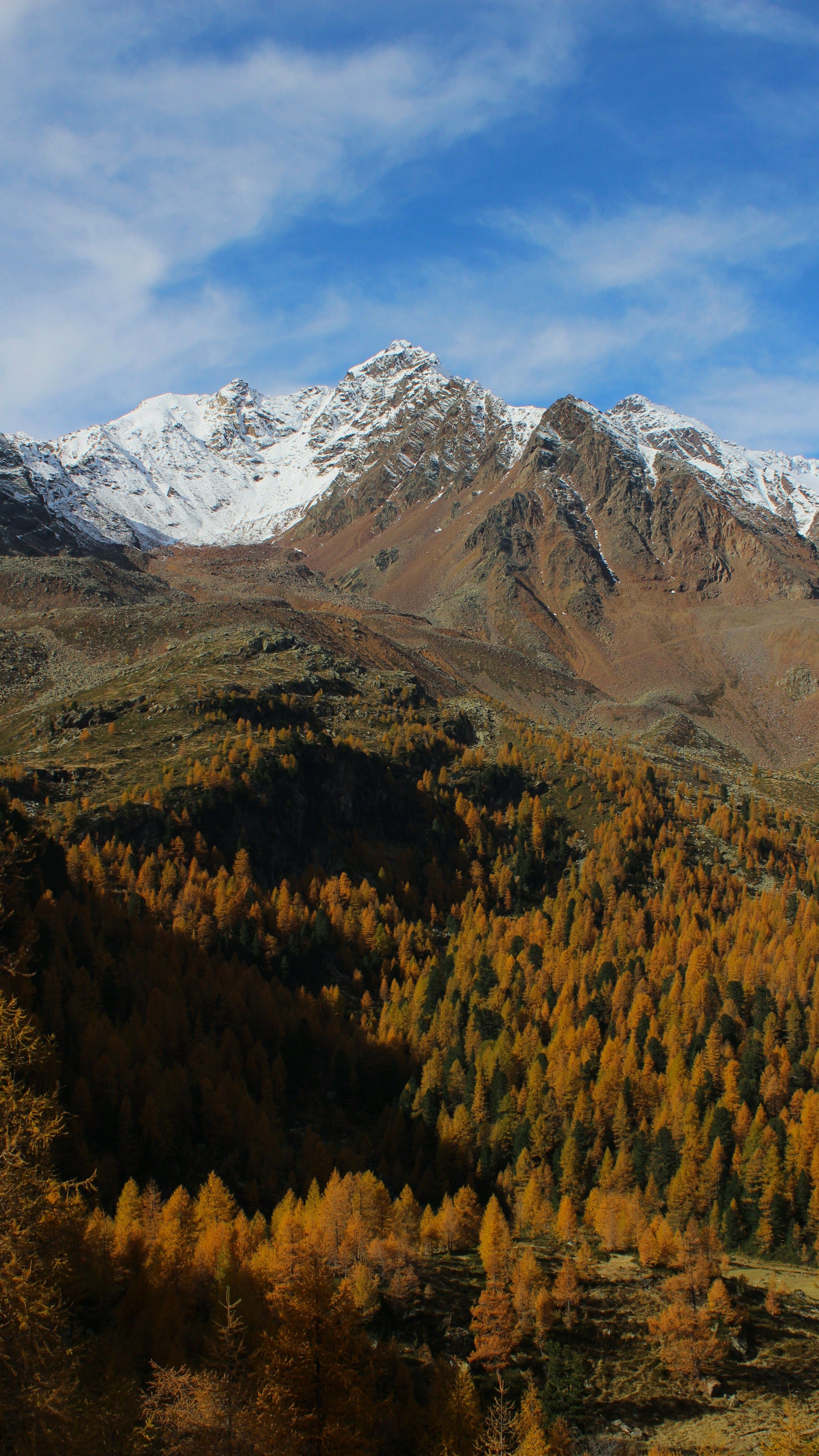 Snow-Capped Mountains in Autumn Forest Scenery · Free Stock Photo