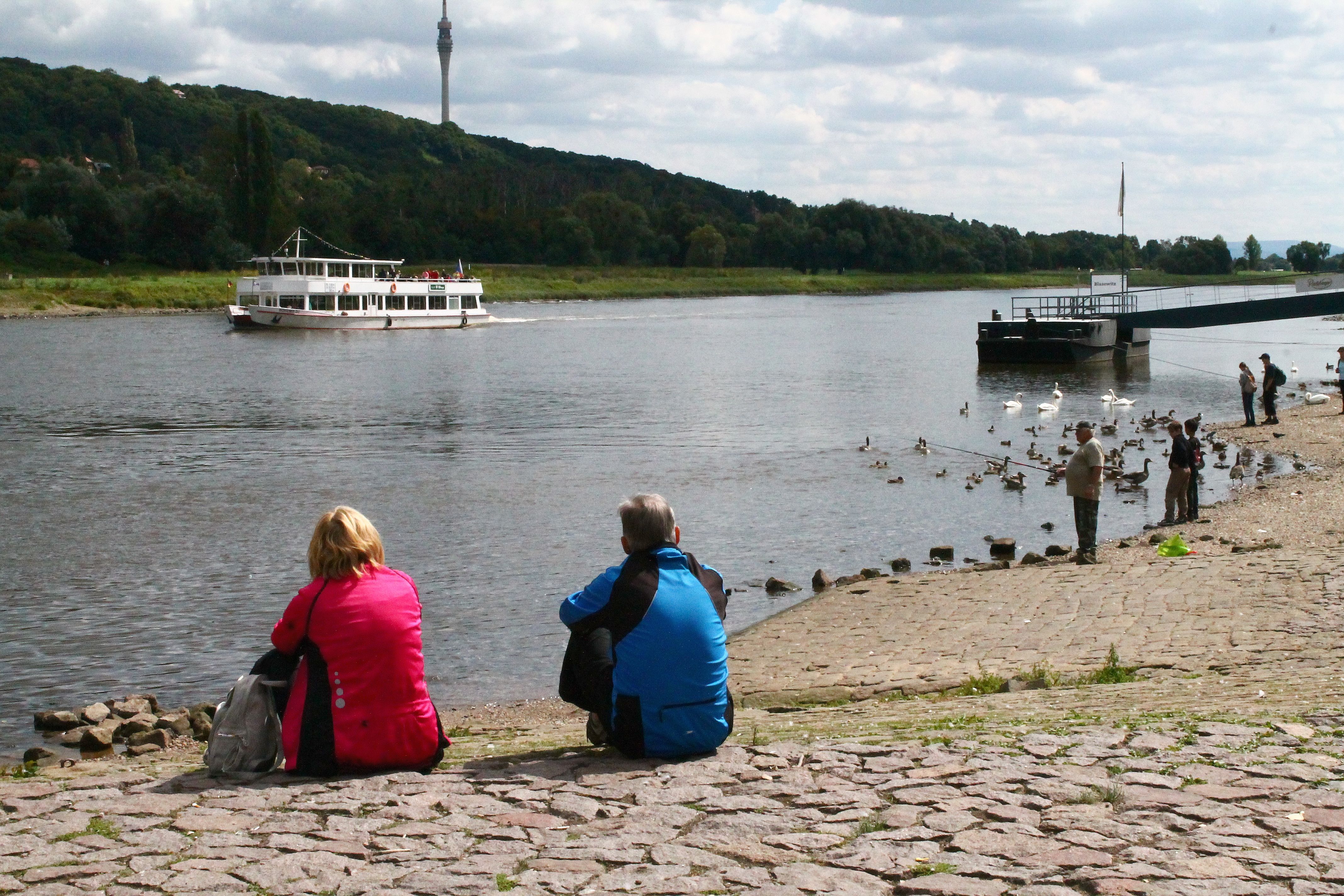 Relaxing by the Elbe River in Dresden, Germany · Free Stock Photo