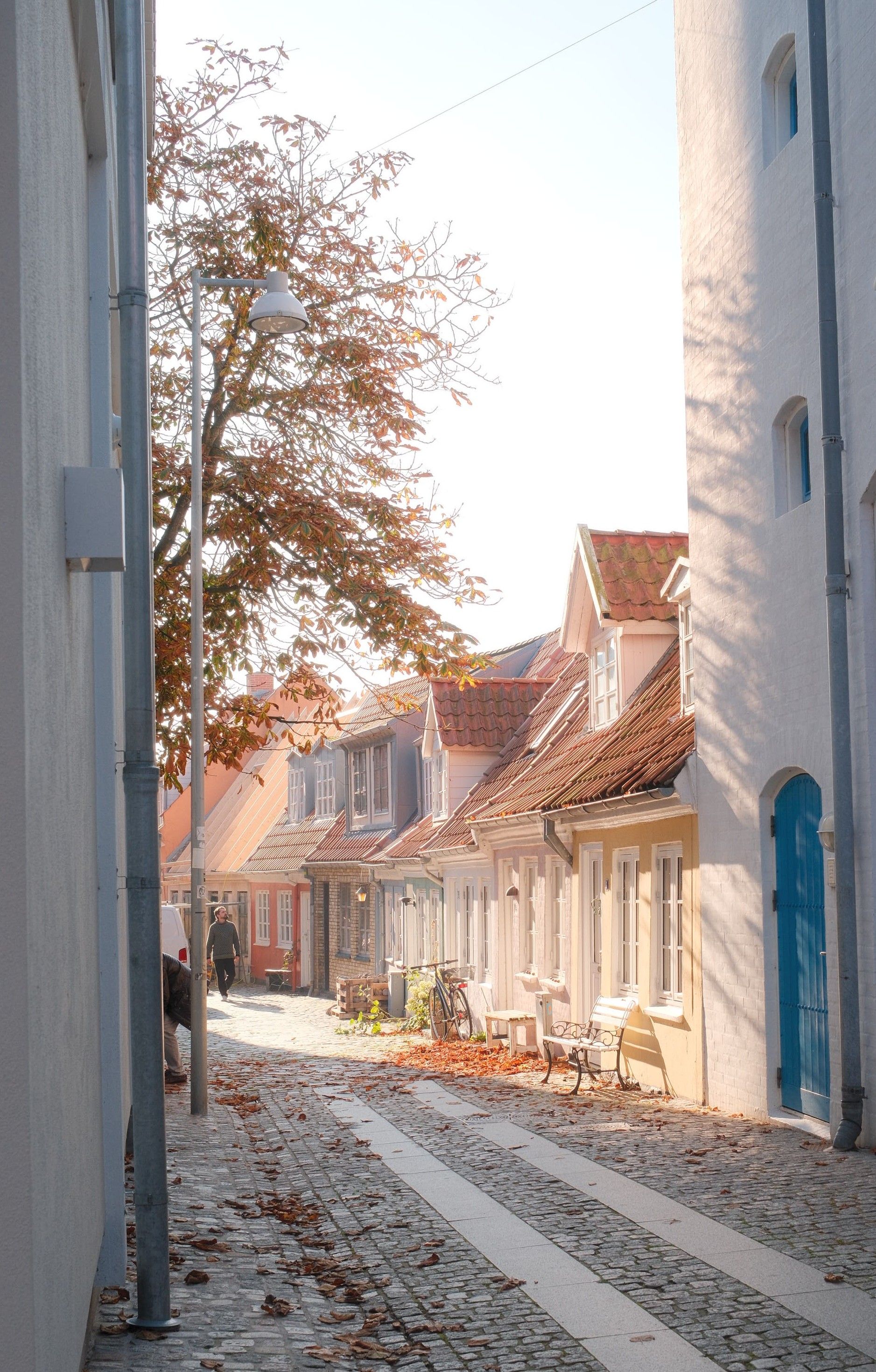 Charming European street in autumn sunlight · Free Stock Photo