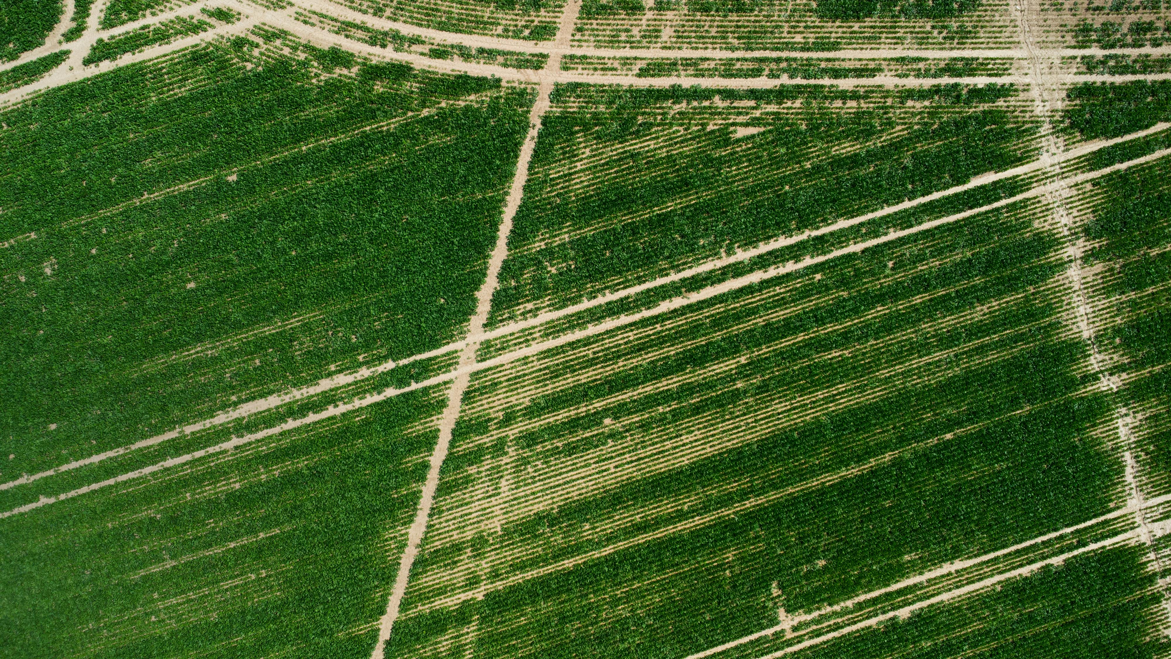 Aerial View of Verdant Fields in Waterloo, Belgium · Free Stock Photo
