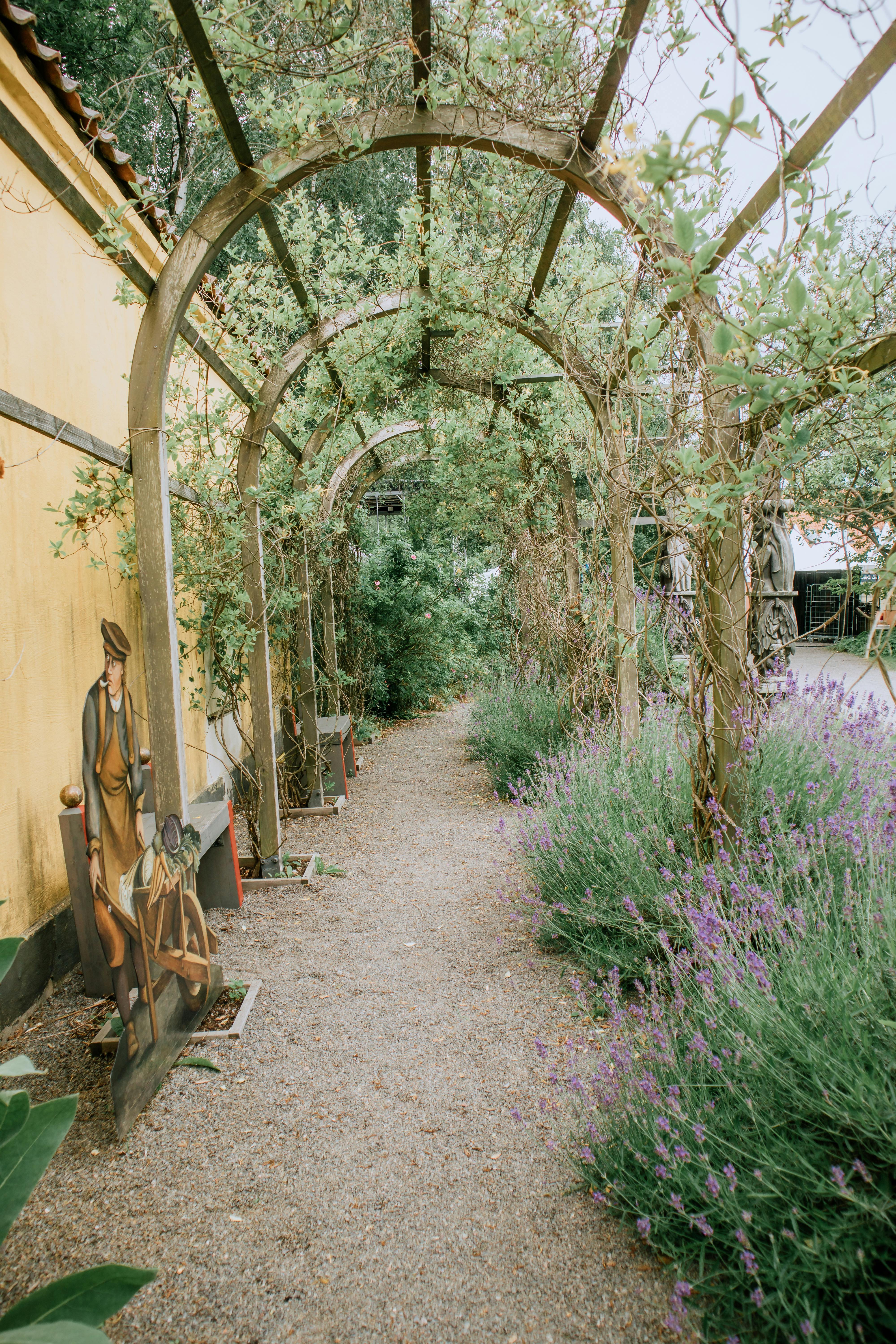 Tranquil Garden Pathway with Arched Trellis · Free Stock Photo
