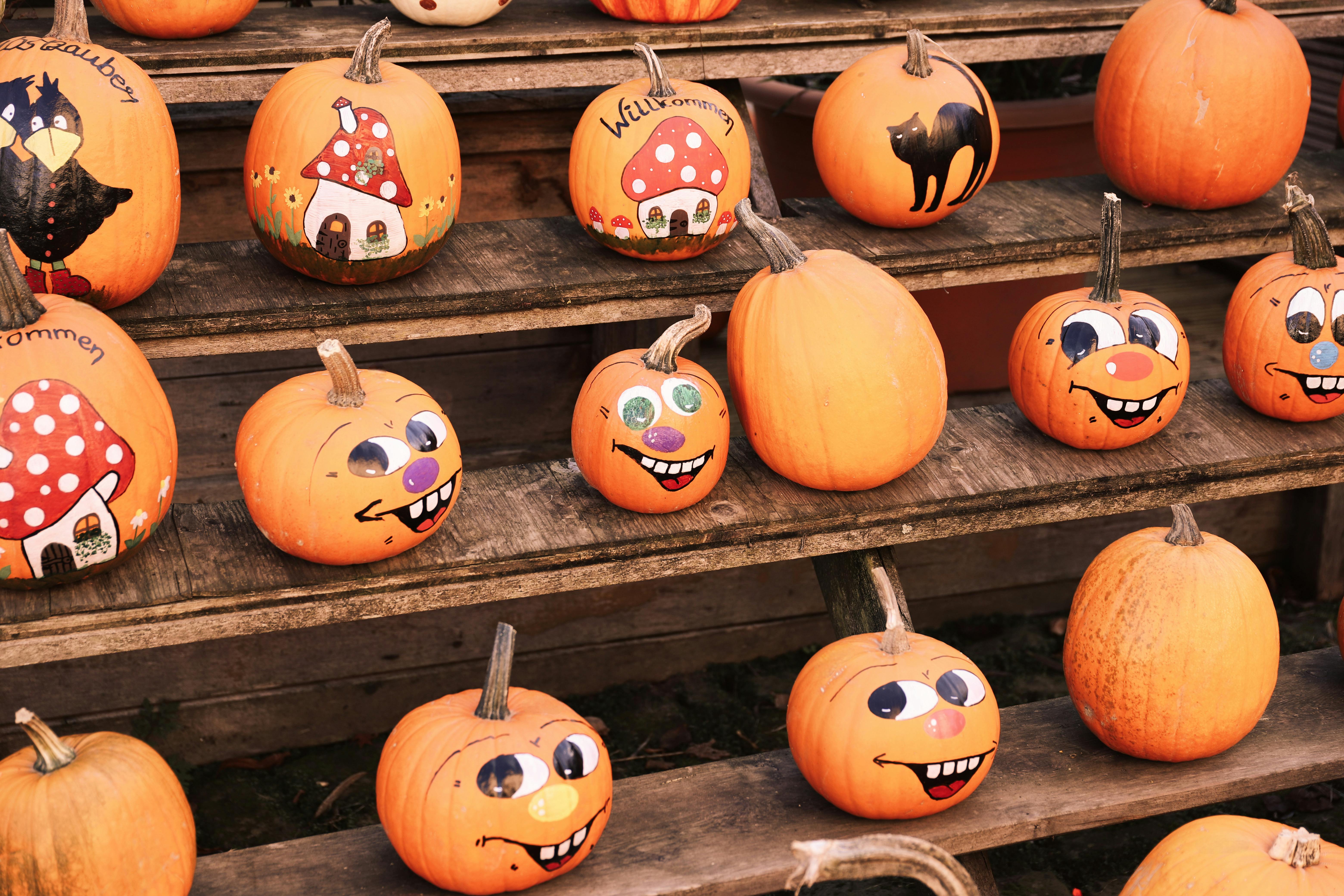 Whimsical Painted Pumpkins on Wooden Steps · Free Stock Photo