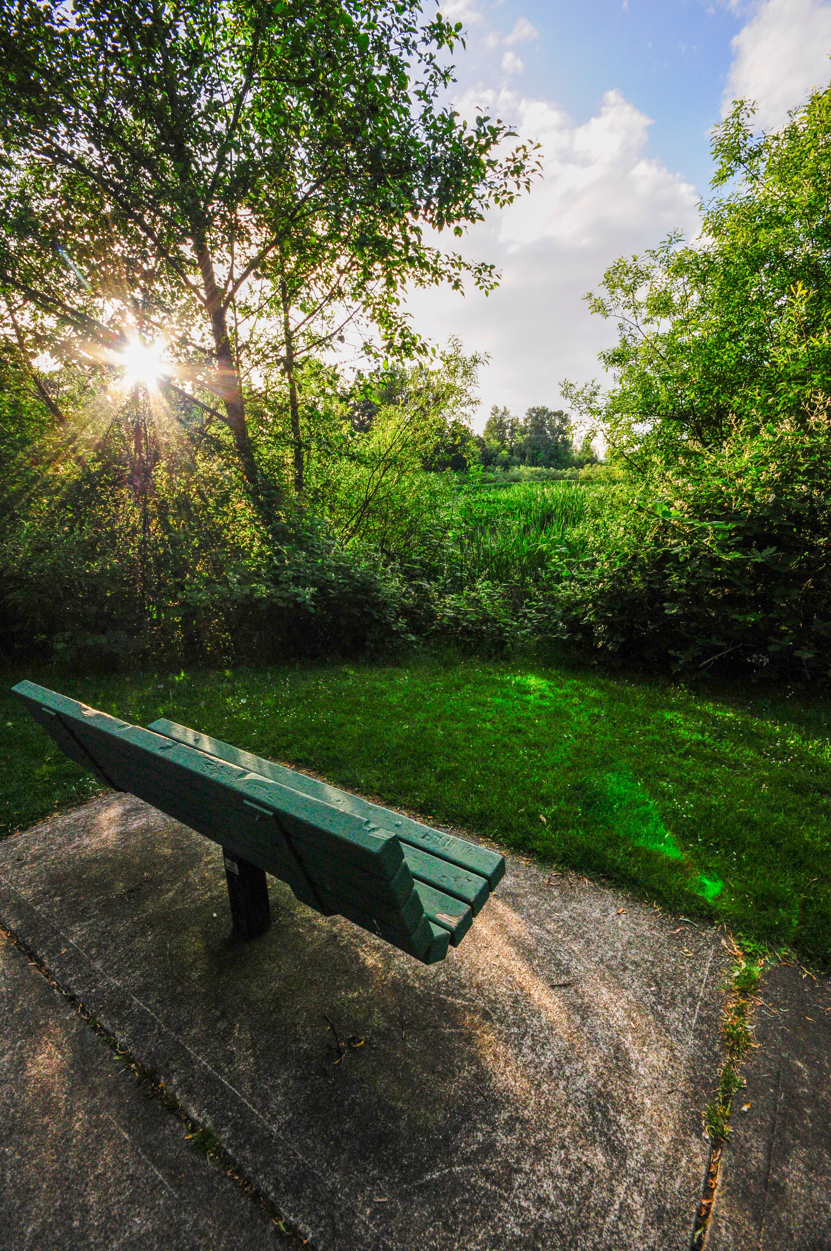 Peaceful Park Bench at Sunset in Summer · Free Stock Photo
