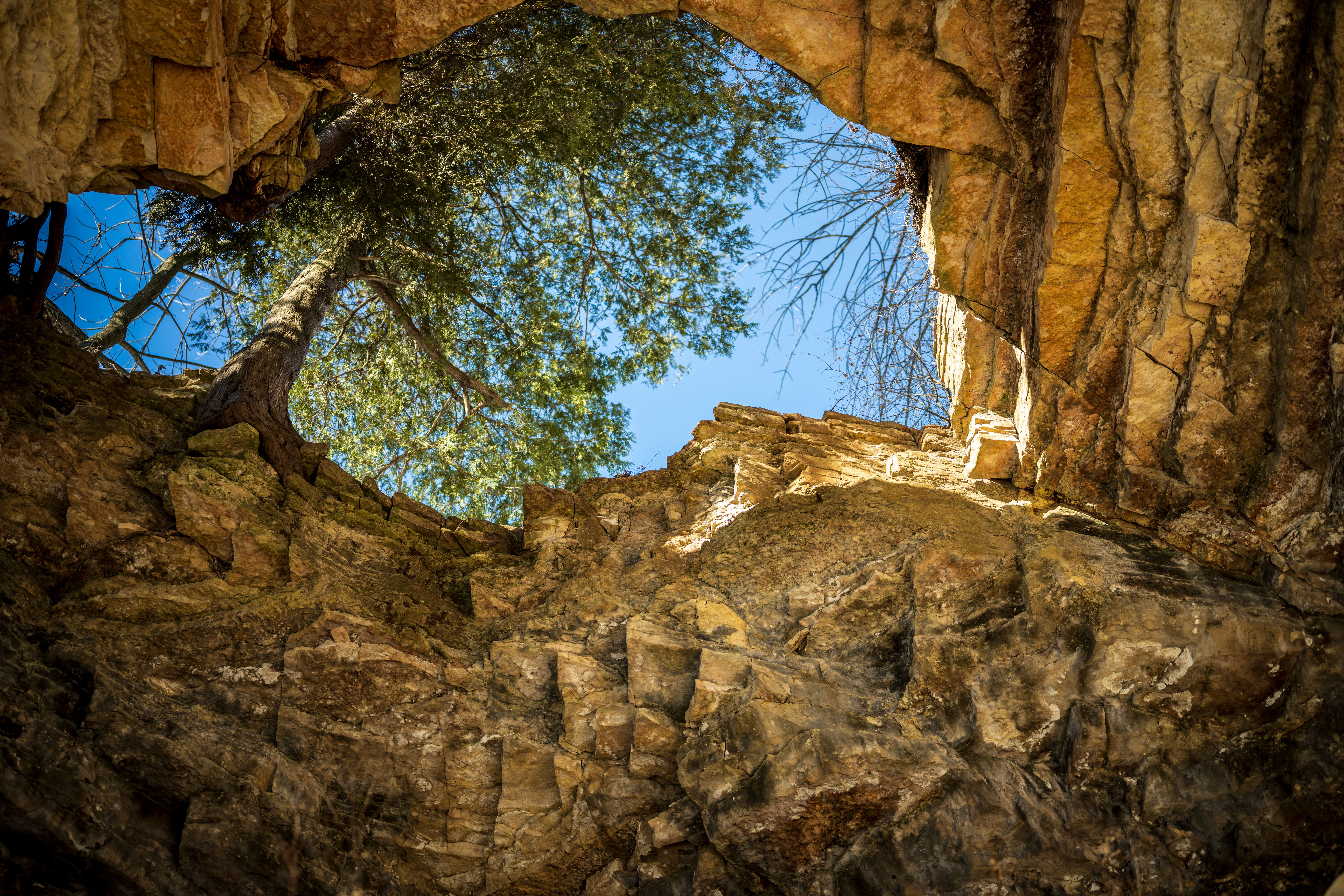 Looking up at rocky cliff and tree against blue sky · Free Stock Photo