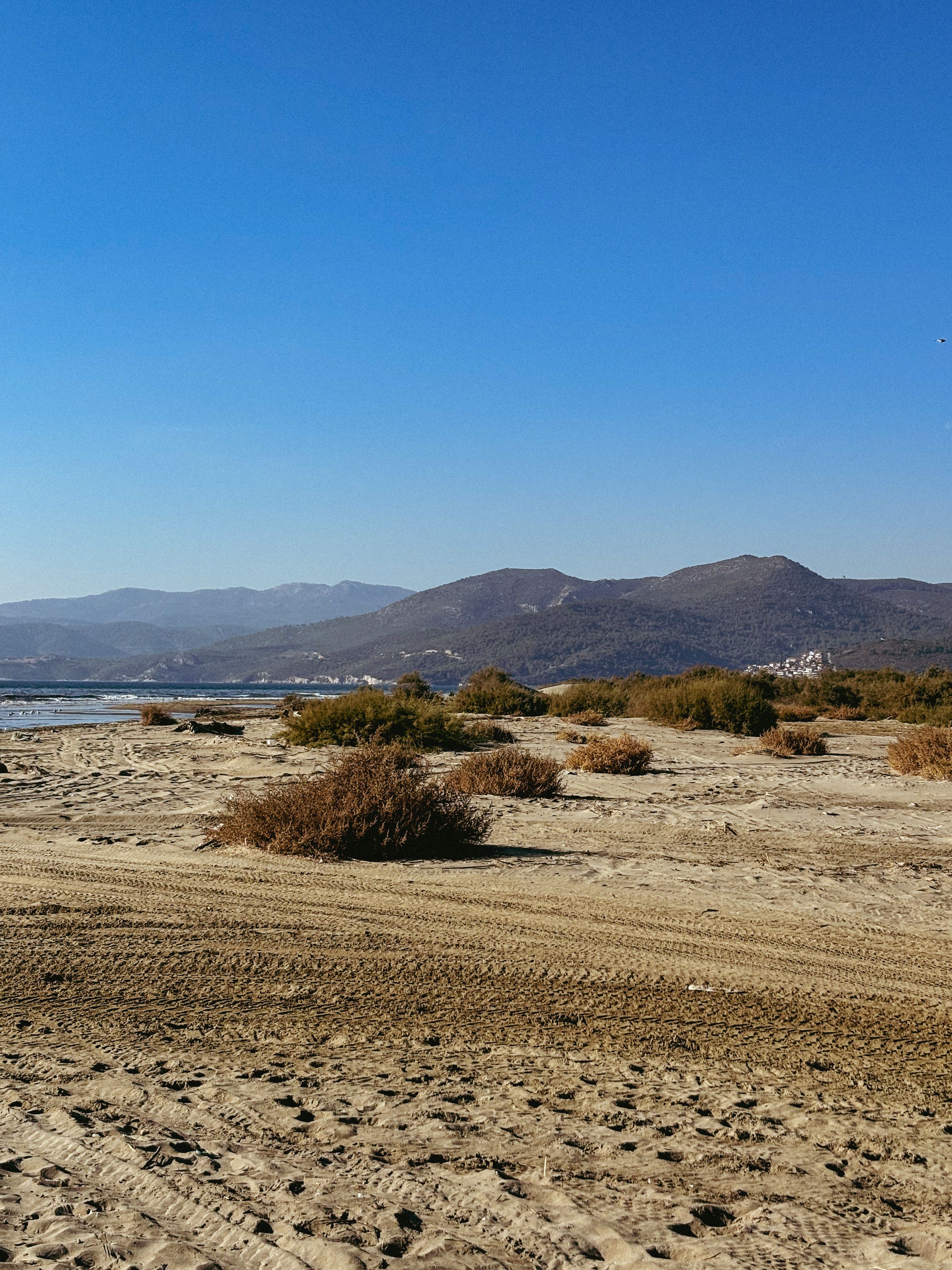 Sand Vista Photos, Download The BEST Free Sand Vista Stock Photos & HD ...