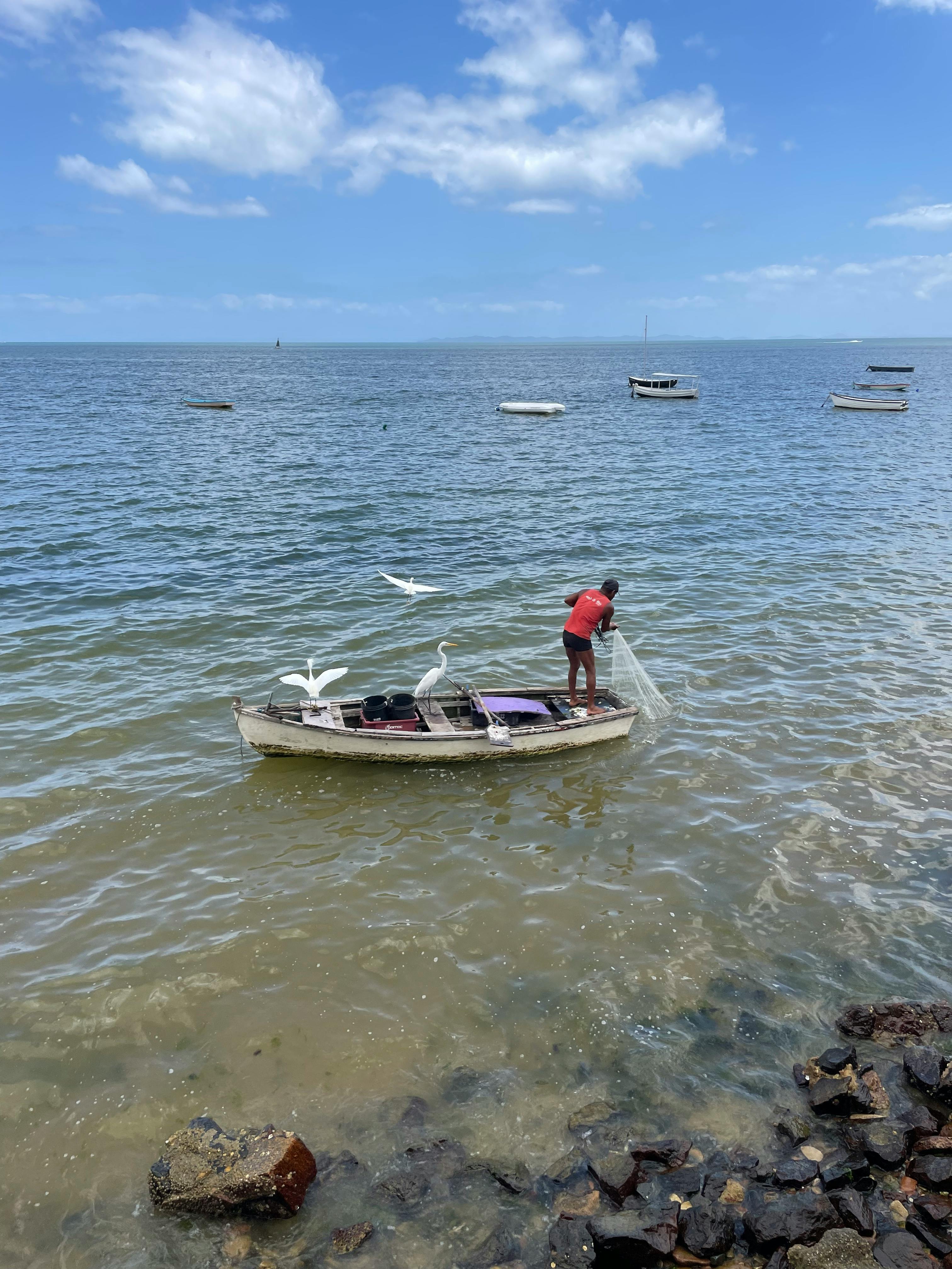 Fisherman casting net from a boat in calm sea · Free Stock Photo