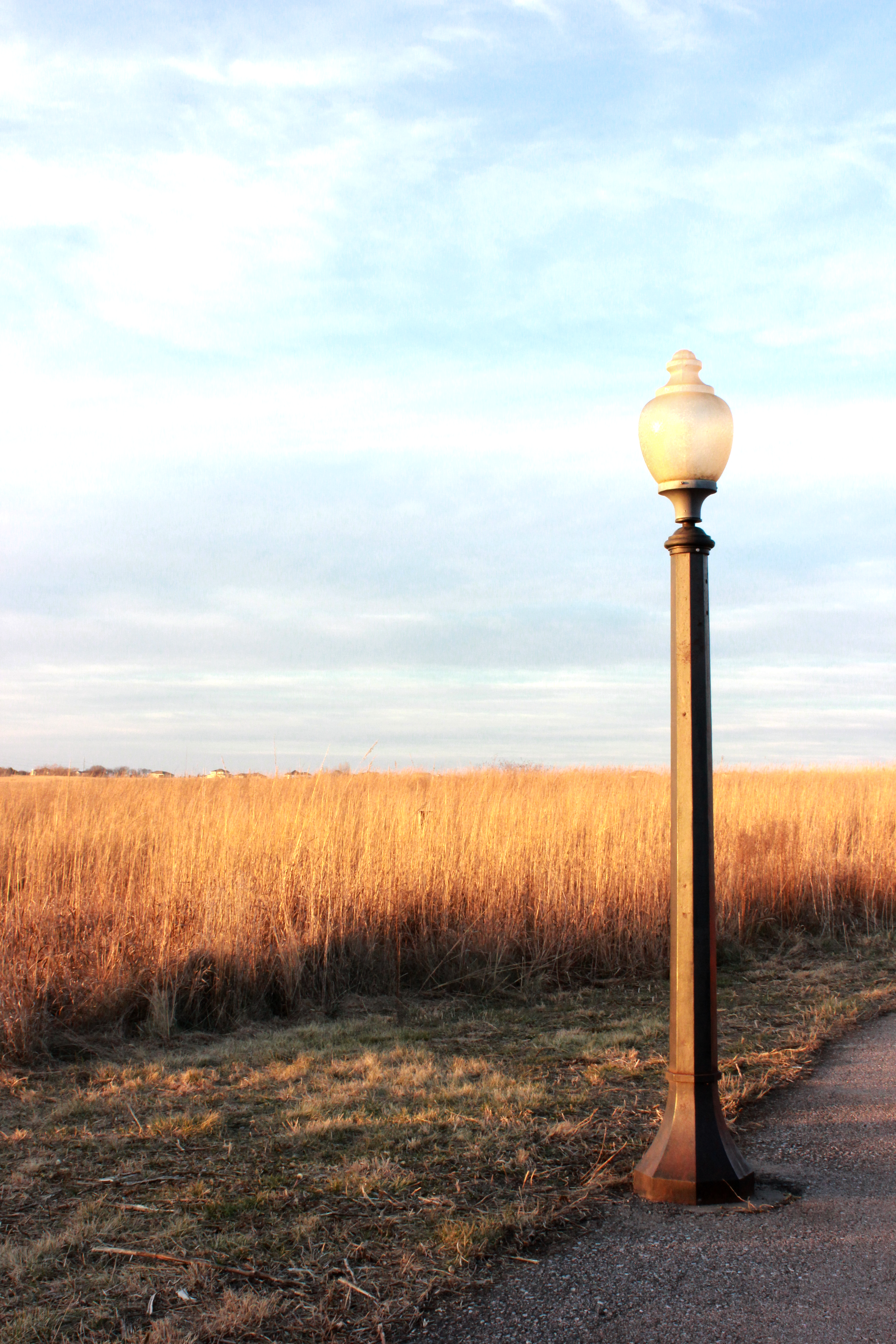 Serene Landscape with Lamp Post in Grassy Field · Free Stock Photo