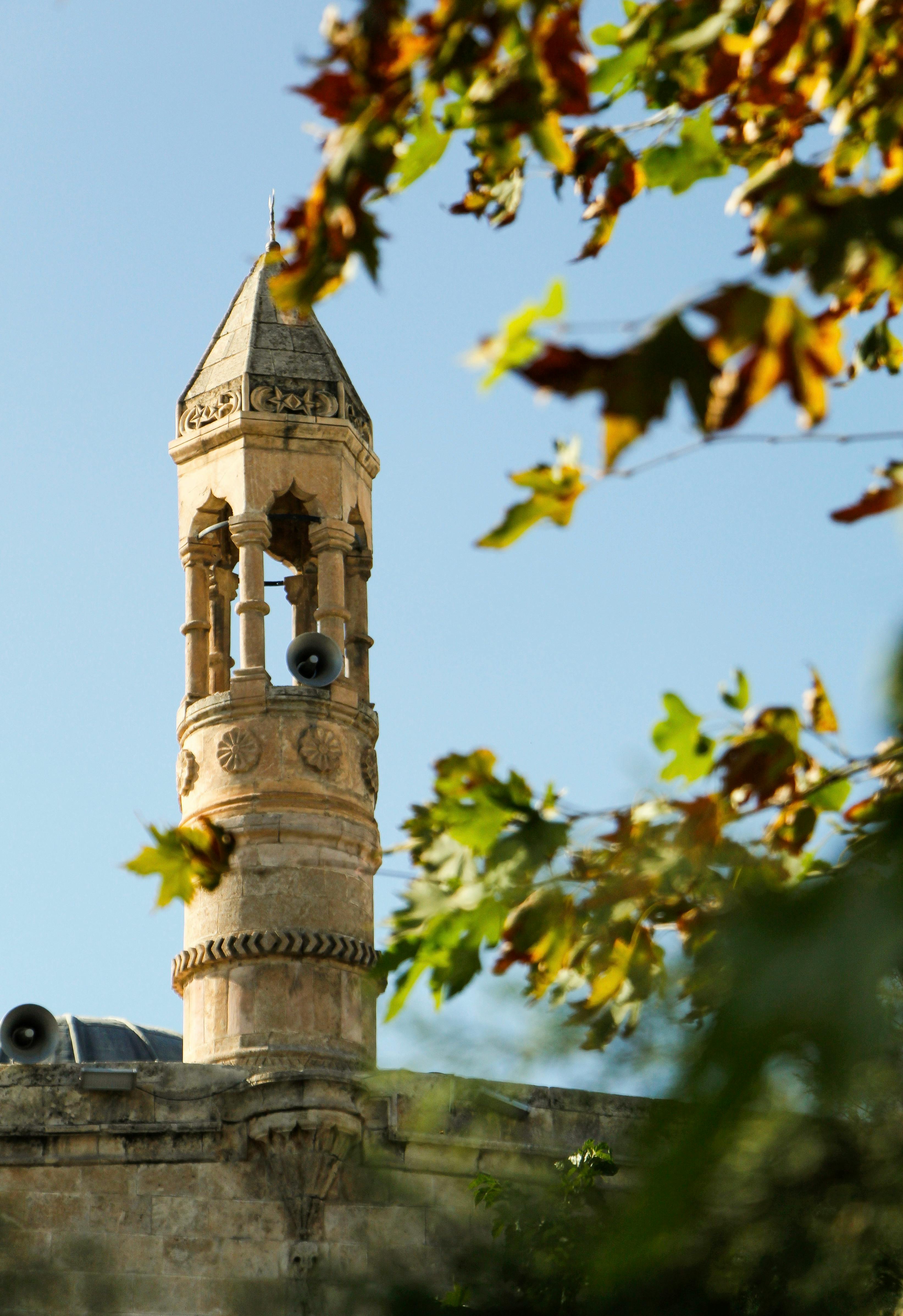Historic Minaret Among Autumn Leaves · Free Stock Photo