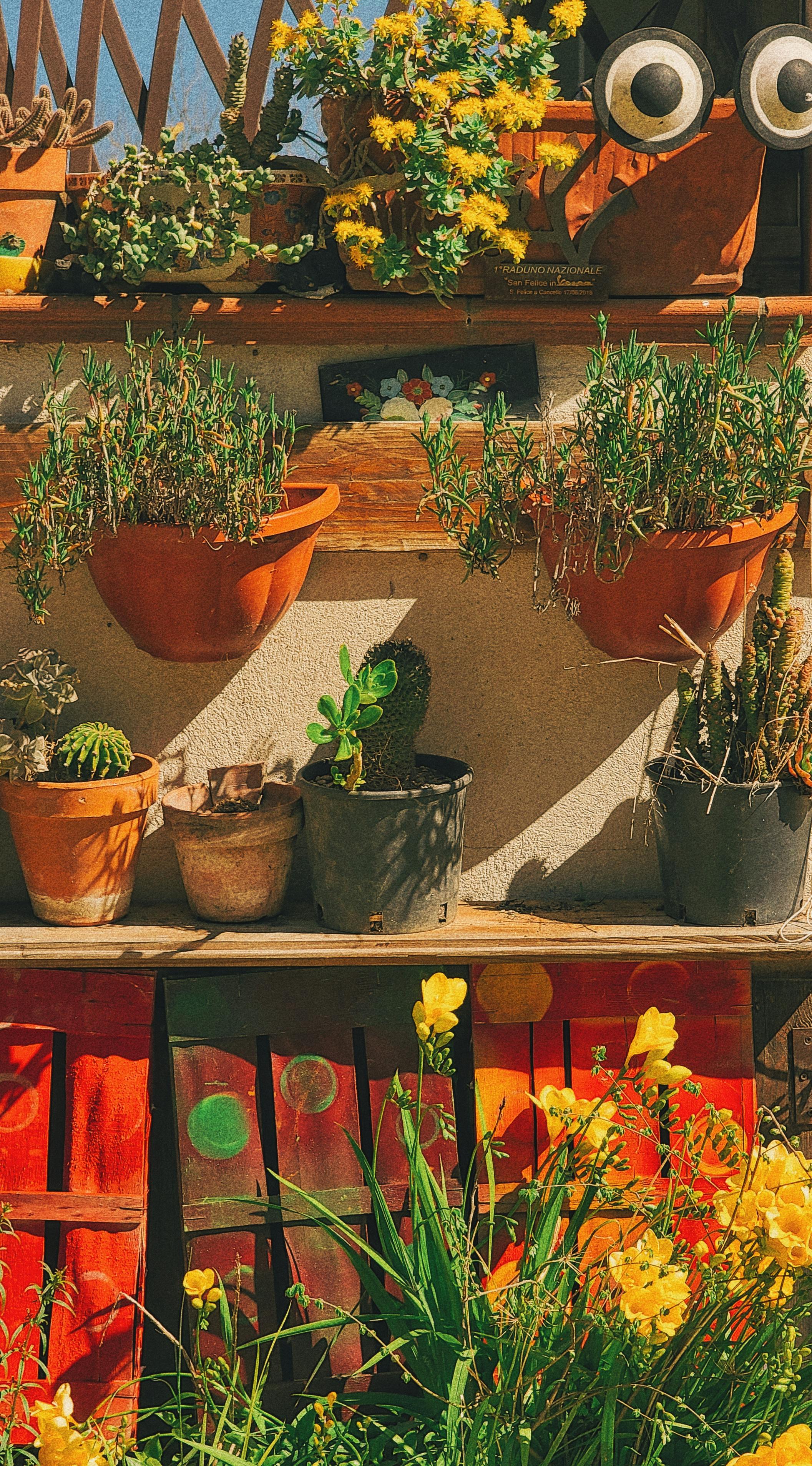 Colorful Garden Pots Photos, Download The BEST Free Colorful Garden ...