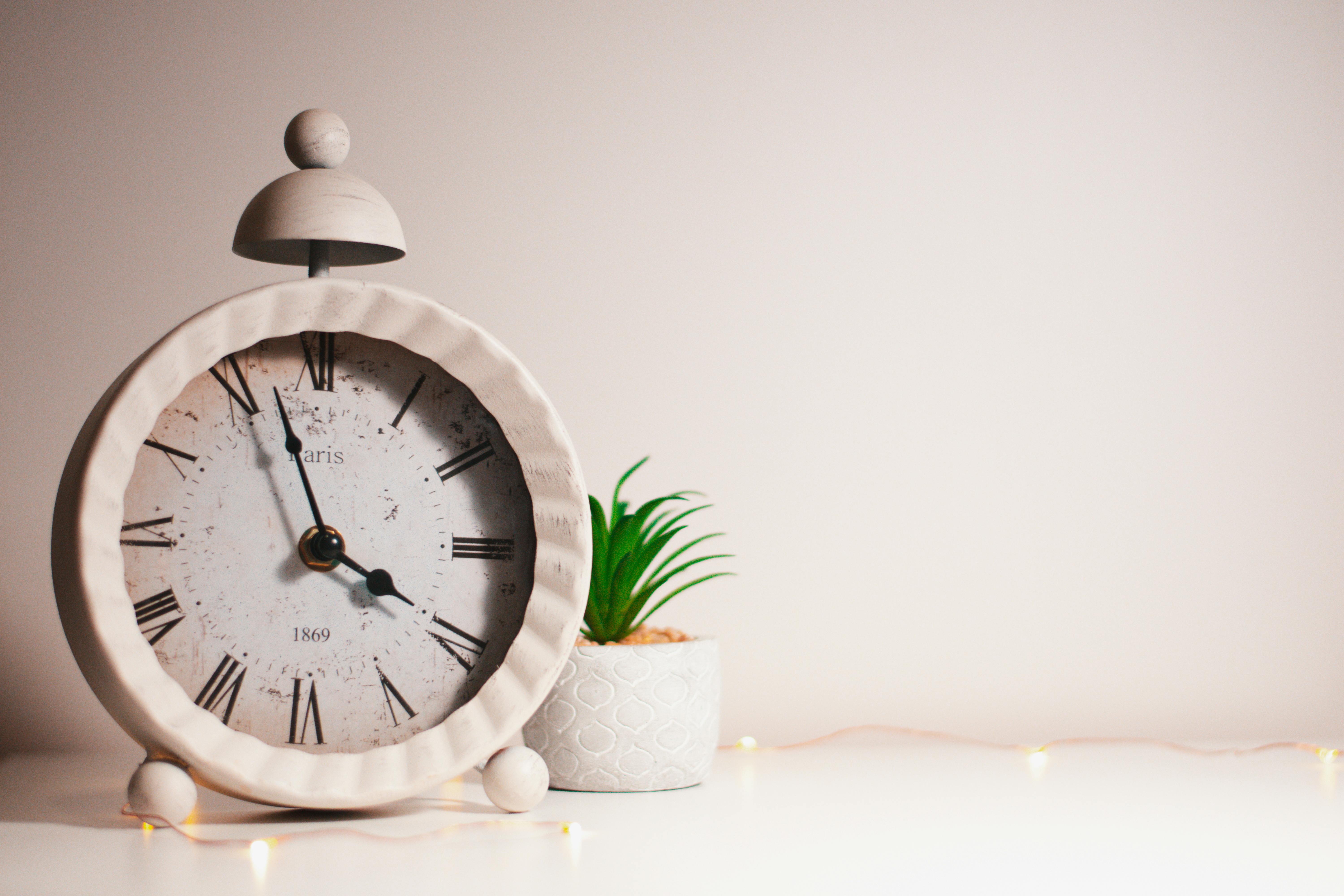 Vintage Clock and Potted Plant Still Life · Free Stock Photo