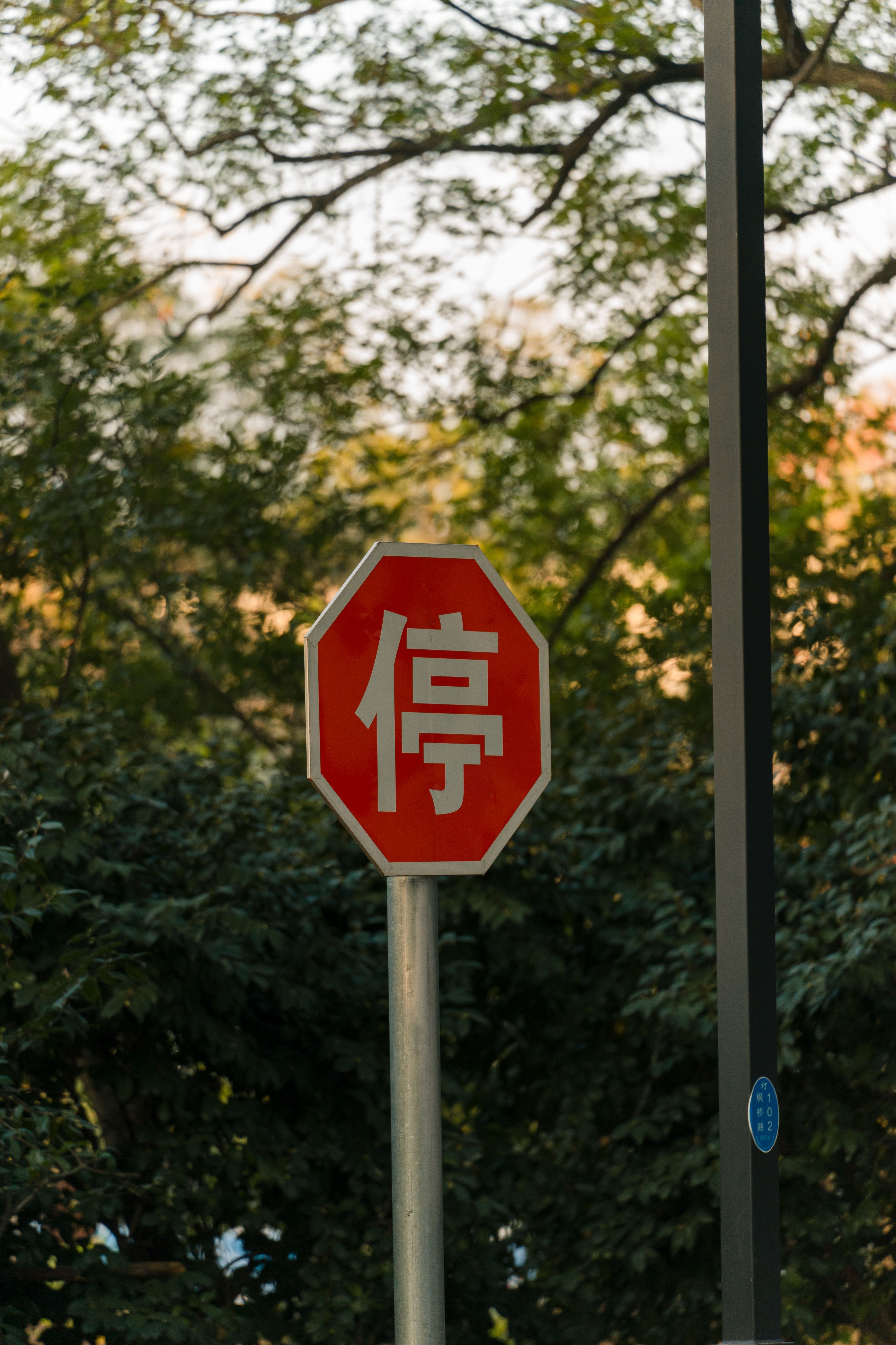 Stop Sign in Hangzhou's Scenic Outdoor Setting · Free Stock Photo