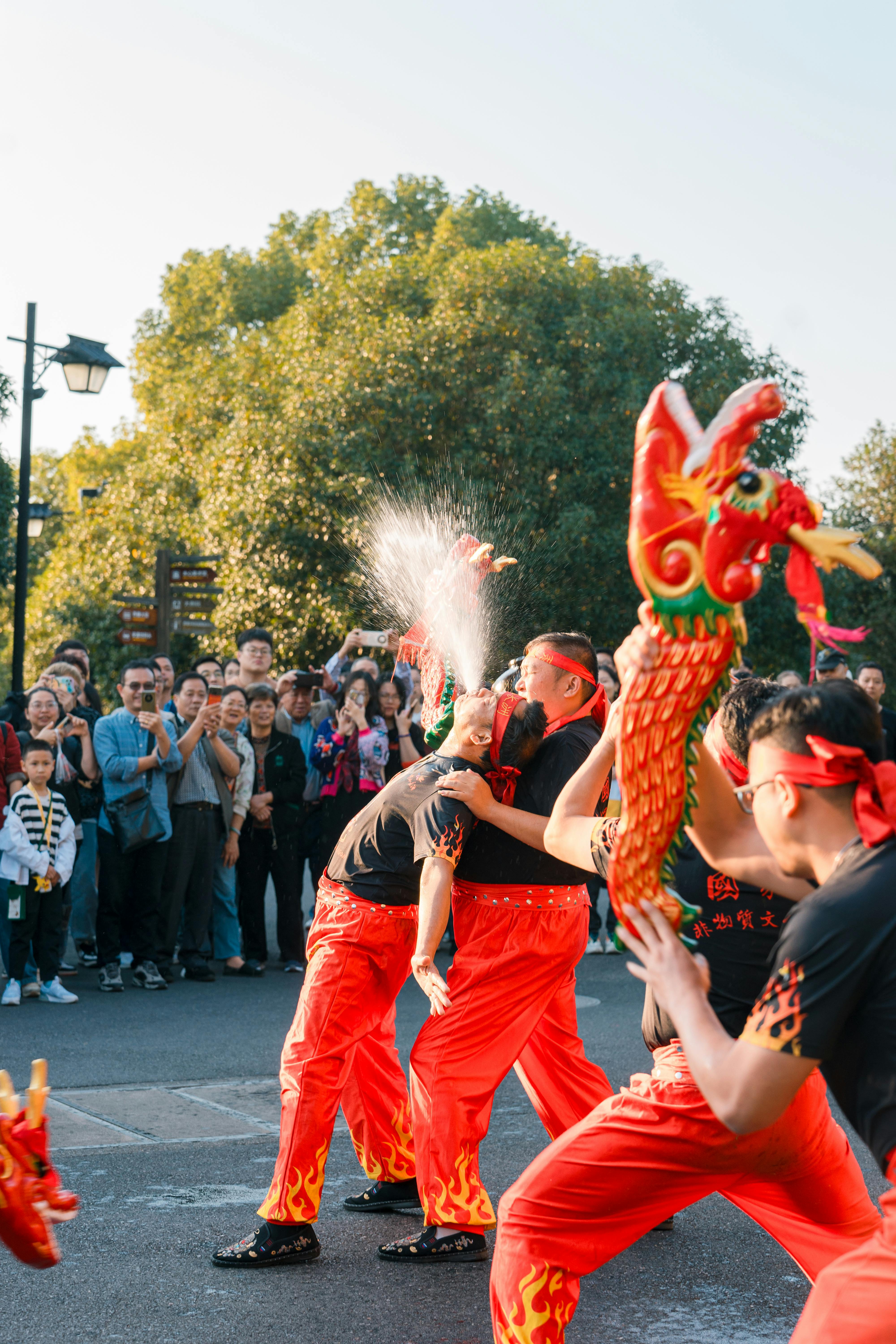 Vibrant Dragon Dance Performance in Hangzhou · Free Stock Photo